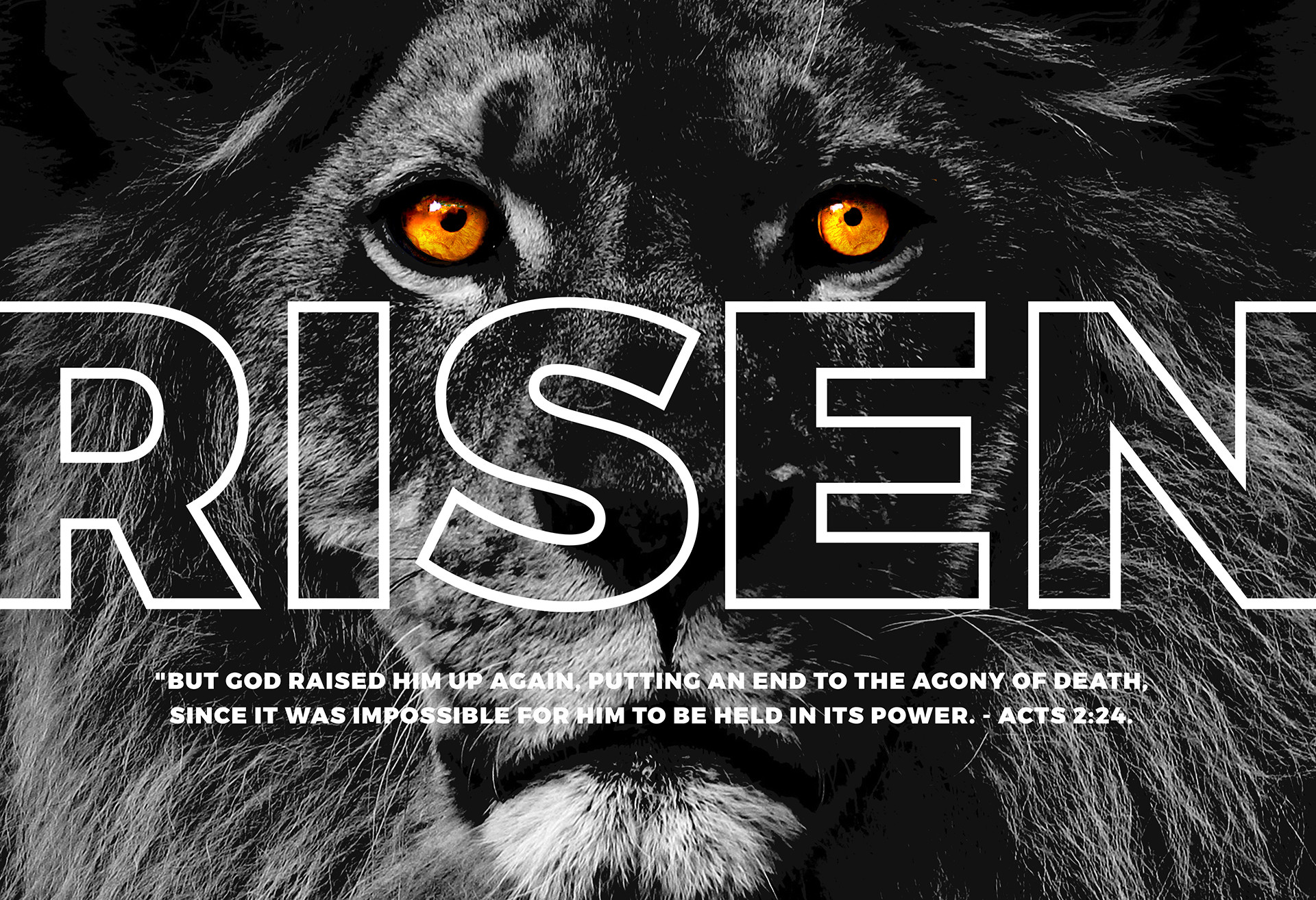 ArtStation - Risen Art