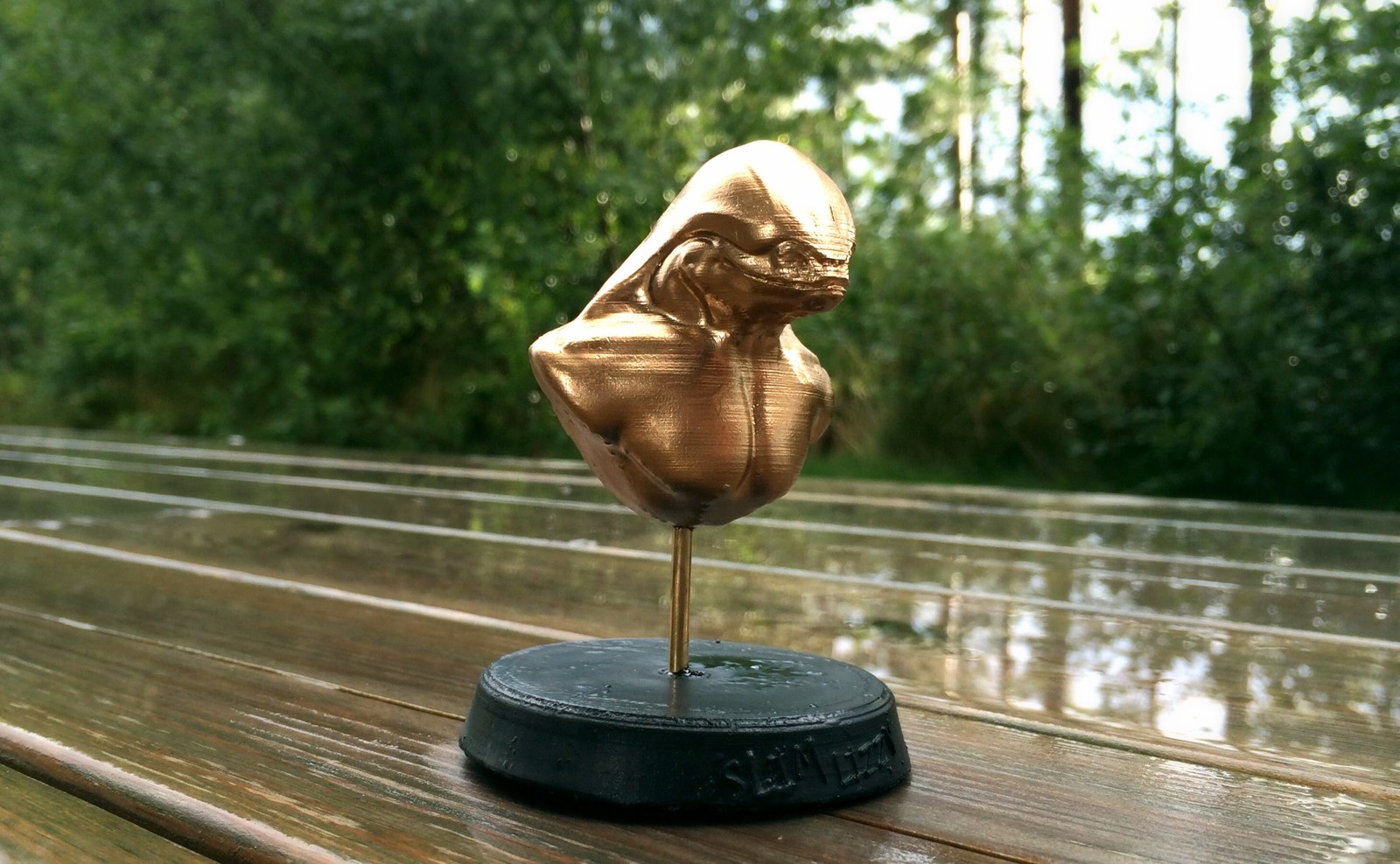 Marcus Wärja - Slim Lizzy