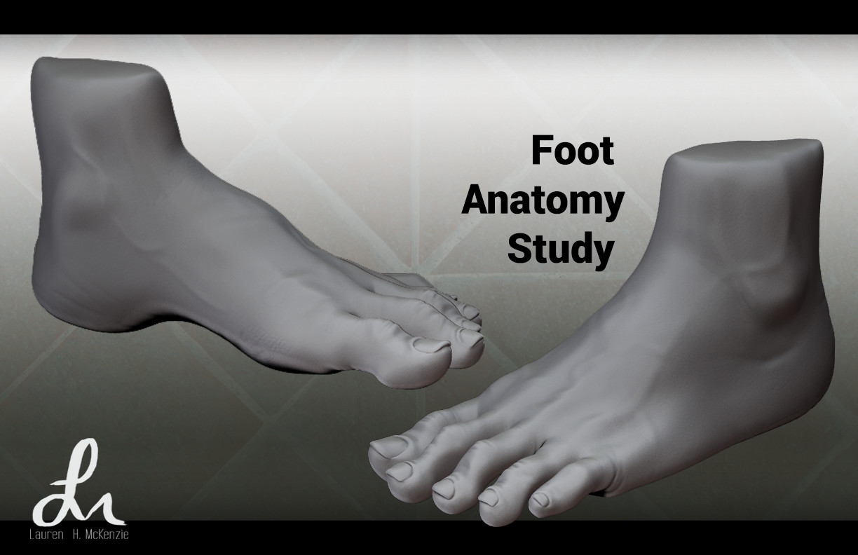 ArtStation - Foot Anatomy Study