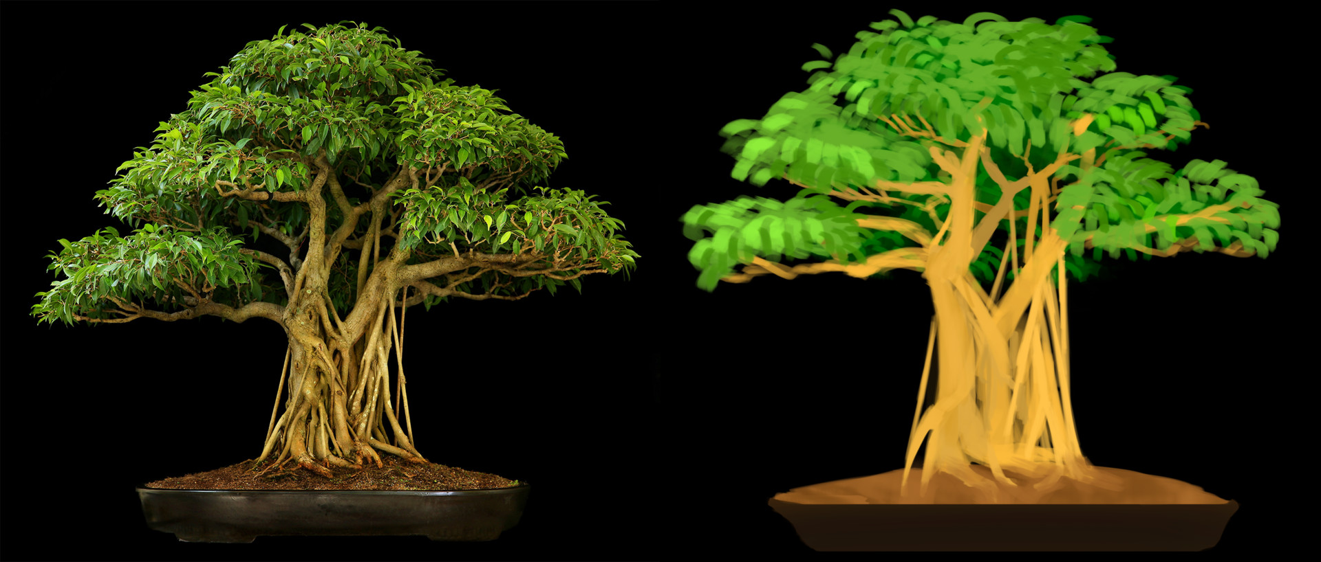 ArtStation - Daily Painting - Tree Study