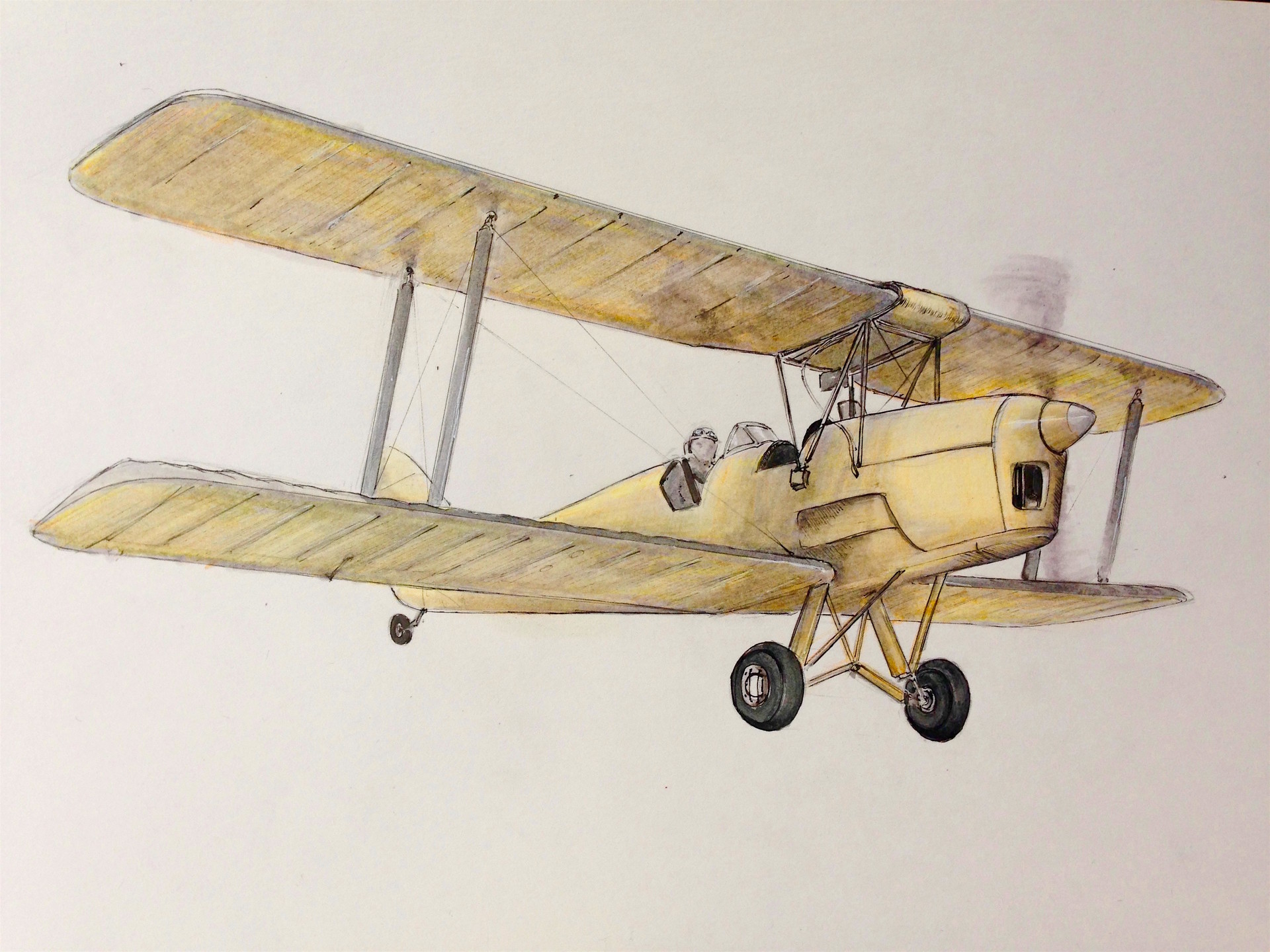 ArtStation - tiger moth