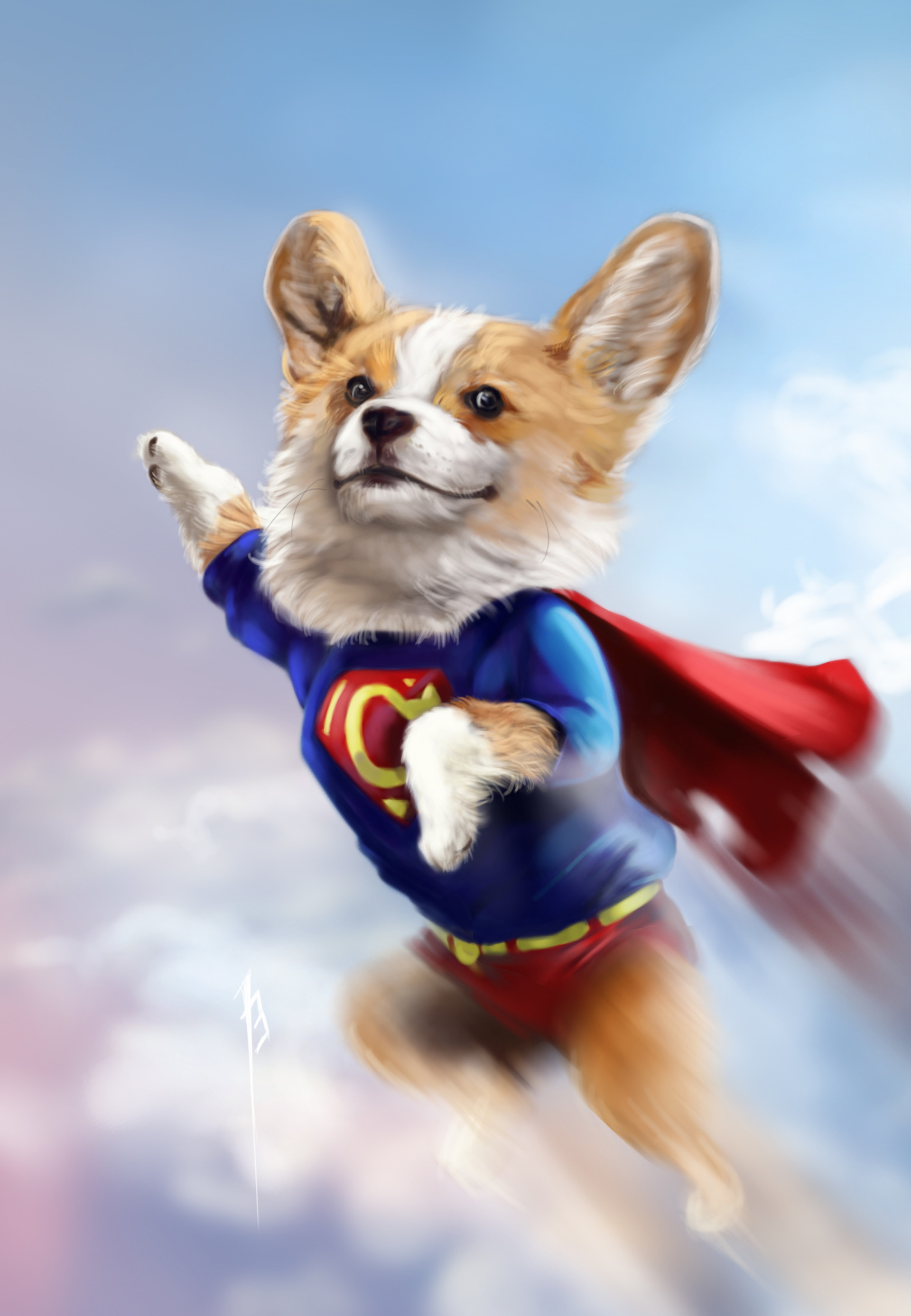 super corgi