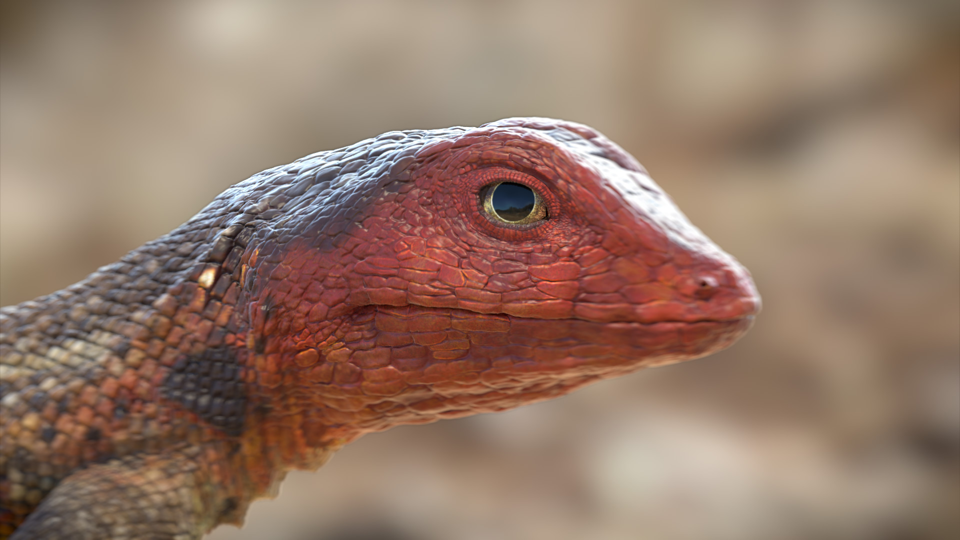 ArtStation - Lava Lizard