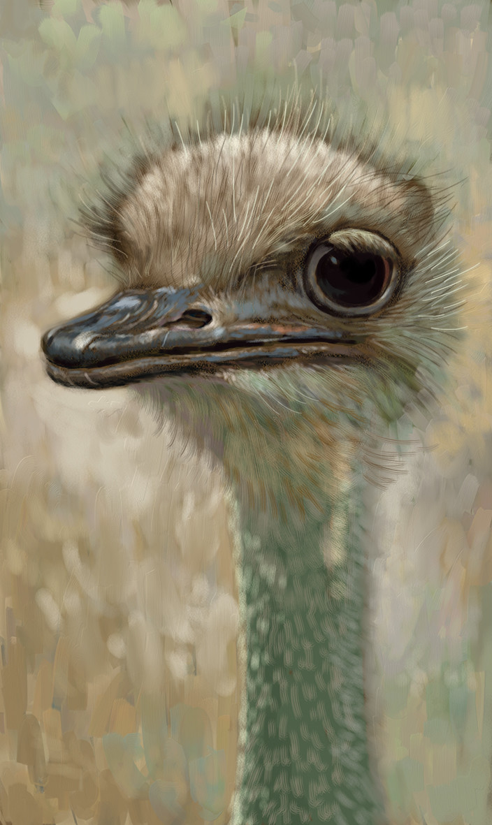 Chia-wei Chang - ZooPortraits