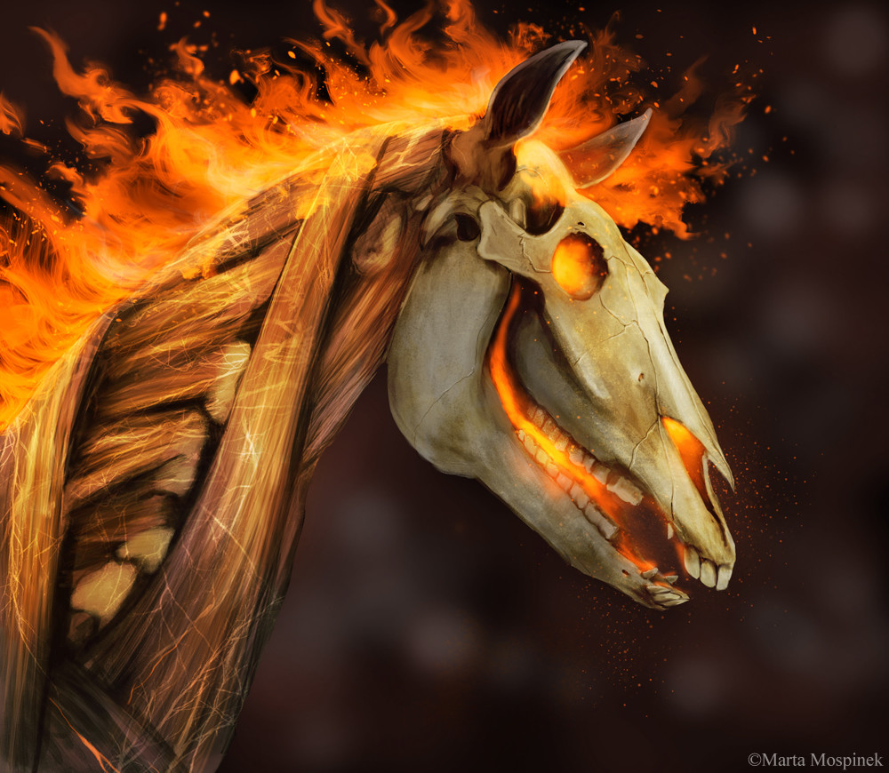 ArtStation - Fire horse