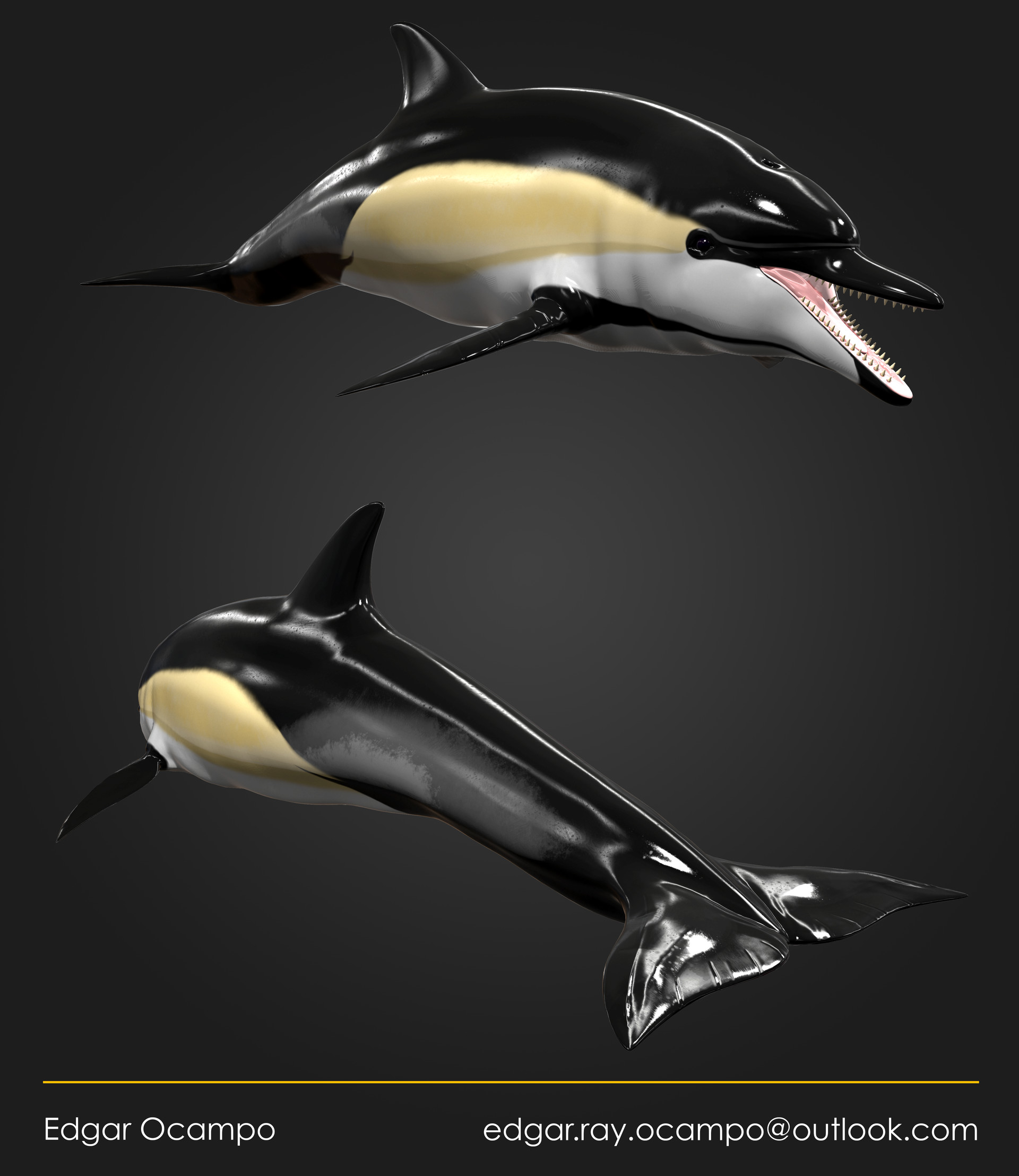 ArtStation - Dolphin