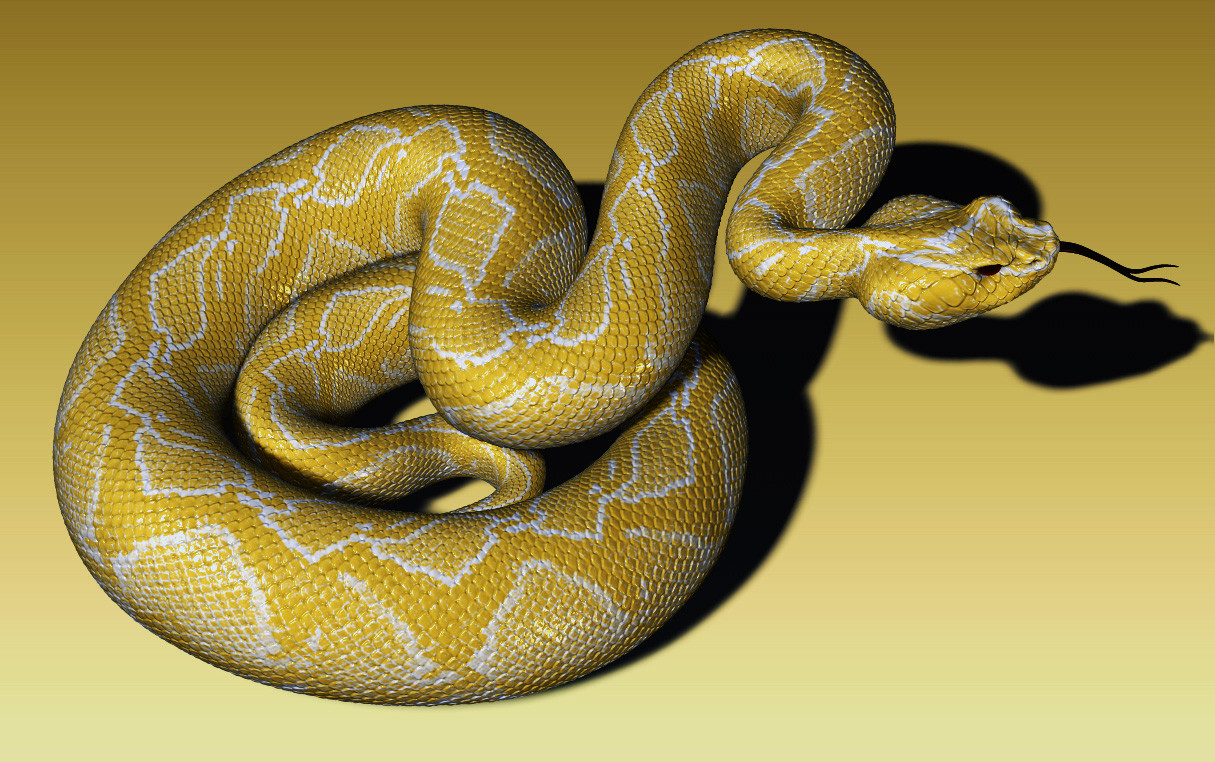 ArtStation - Rattel snake