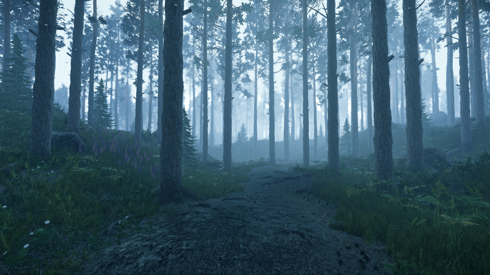 Michael Susha - Misty Pine Forest (Cryengine 3)