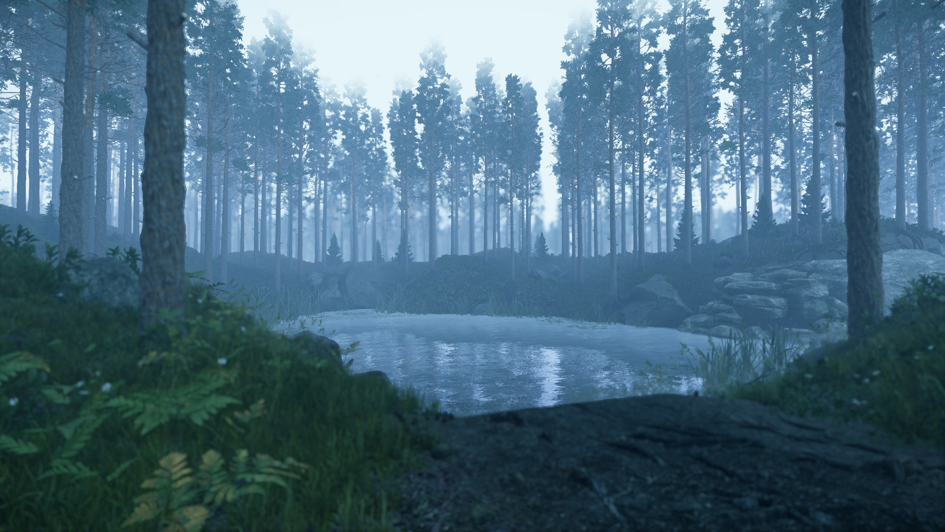 Michael Susha - Misty Pine Forest (Cryengine 3)