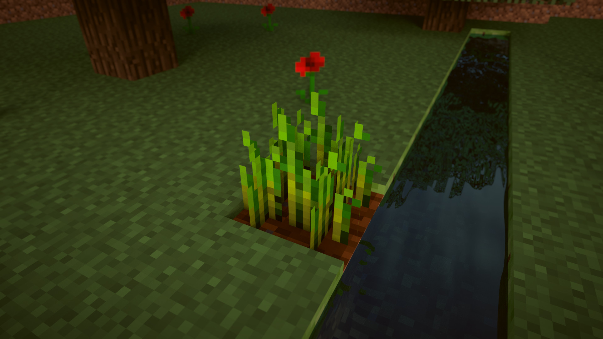 DBoy Animations - Minecraft Wheat