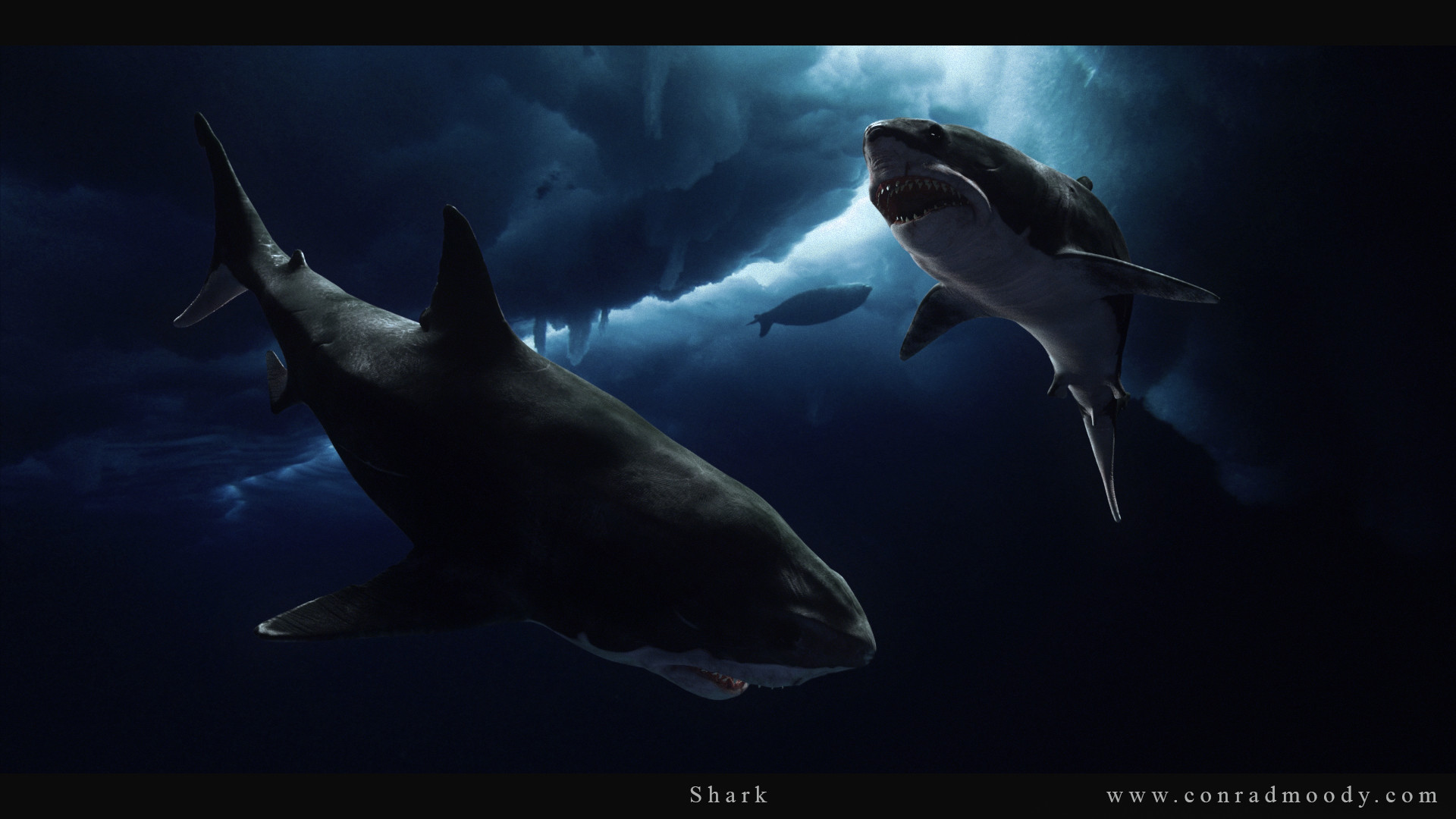 ArtStation - Shark Model