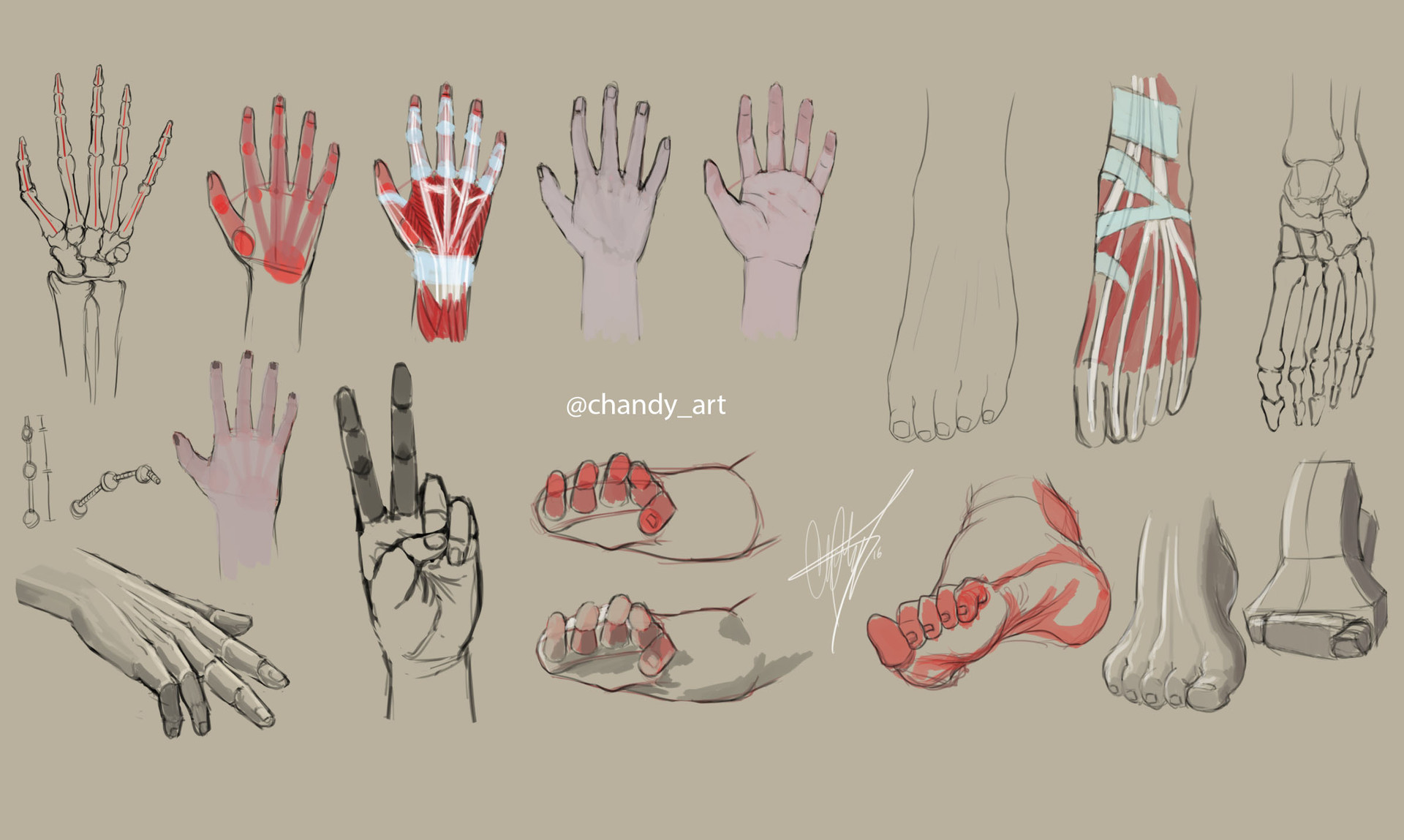 ArtStation - Hands and Feet Studies