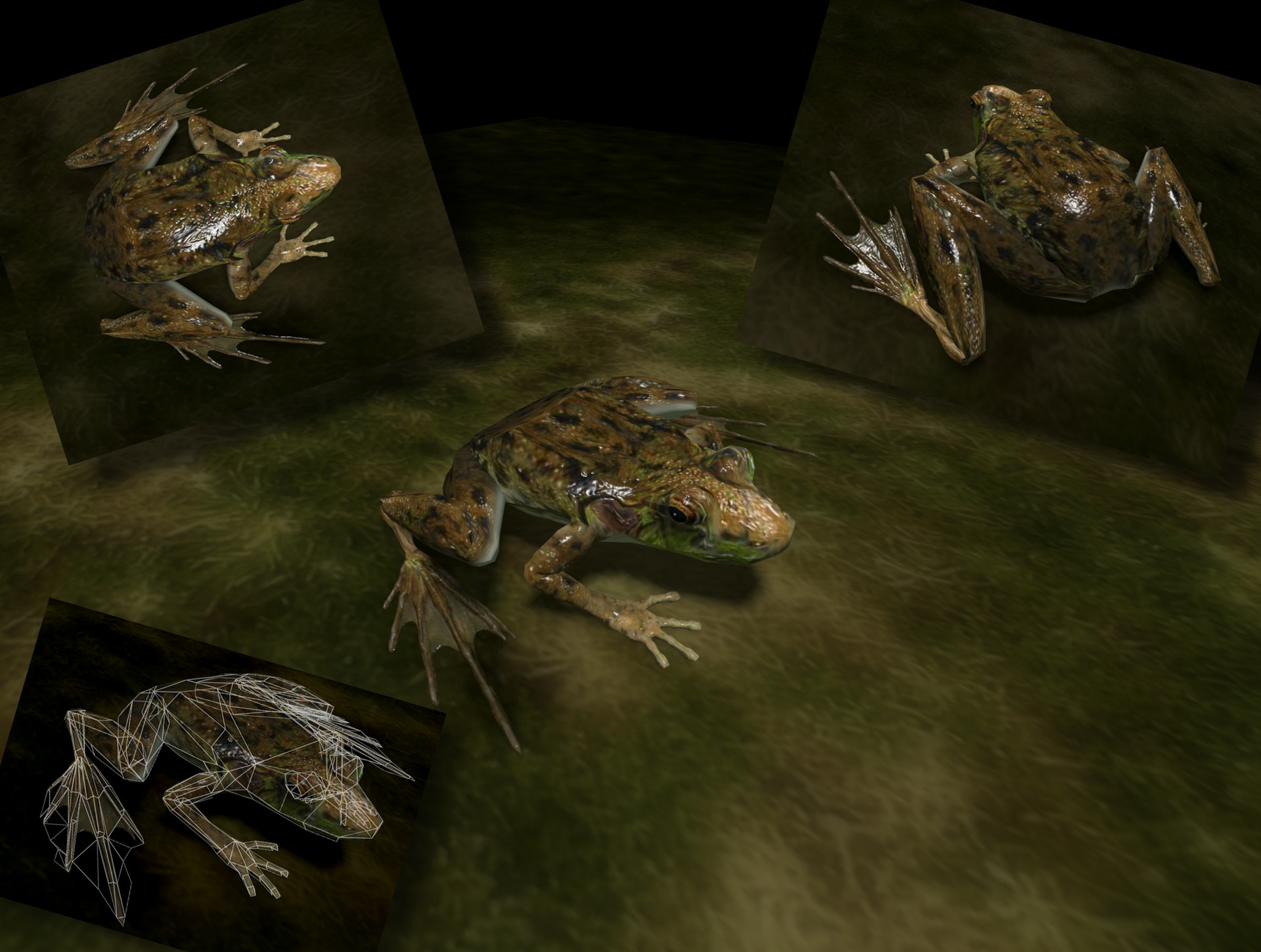 ArtStation - NPC Frog