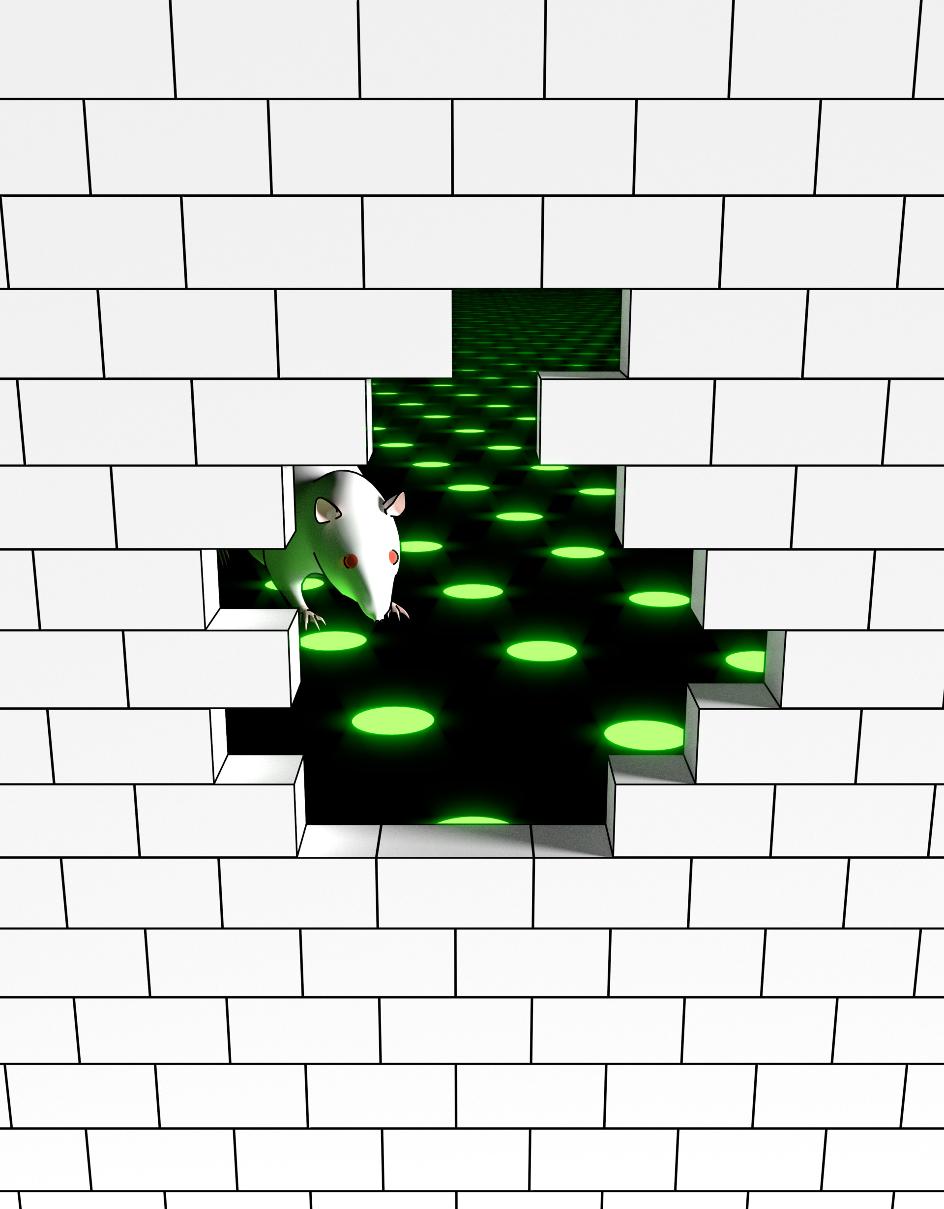 ArtStation - Grid cells and border cells