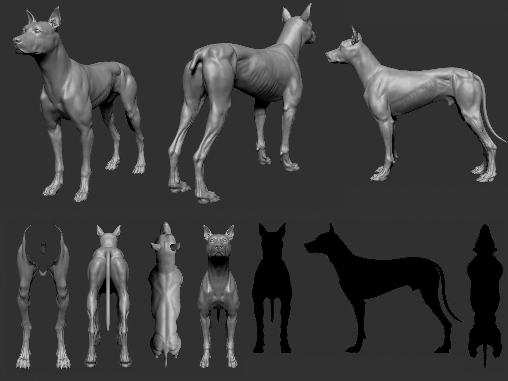 Alec Tse - Dog study