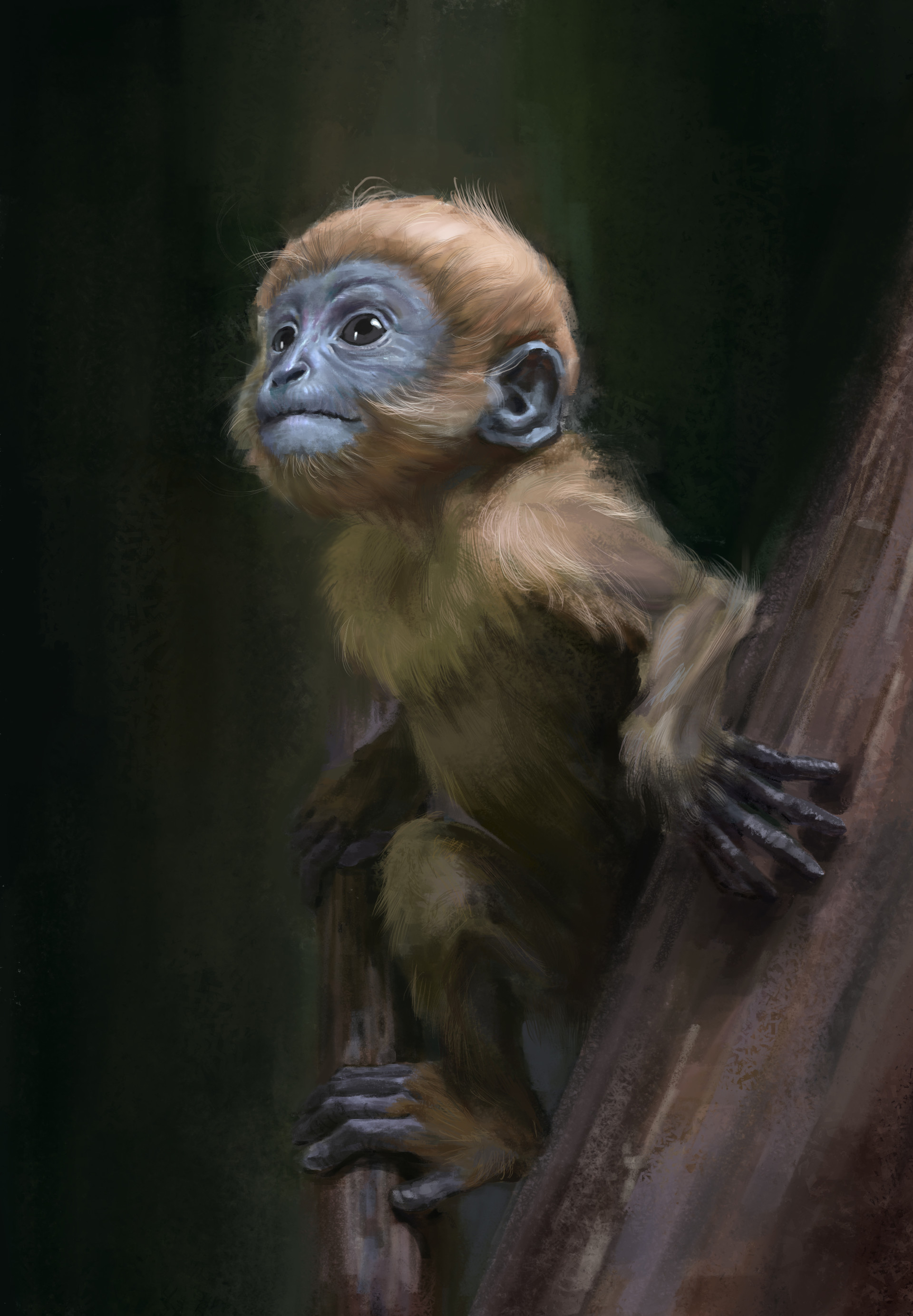 ArtStation - littlemonkeyking