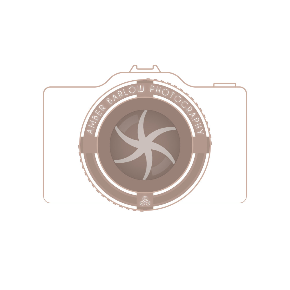 Stephen Huck - photography logo design
