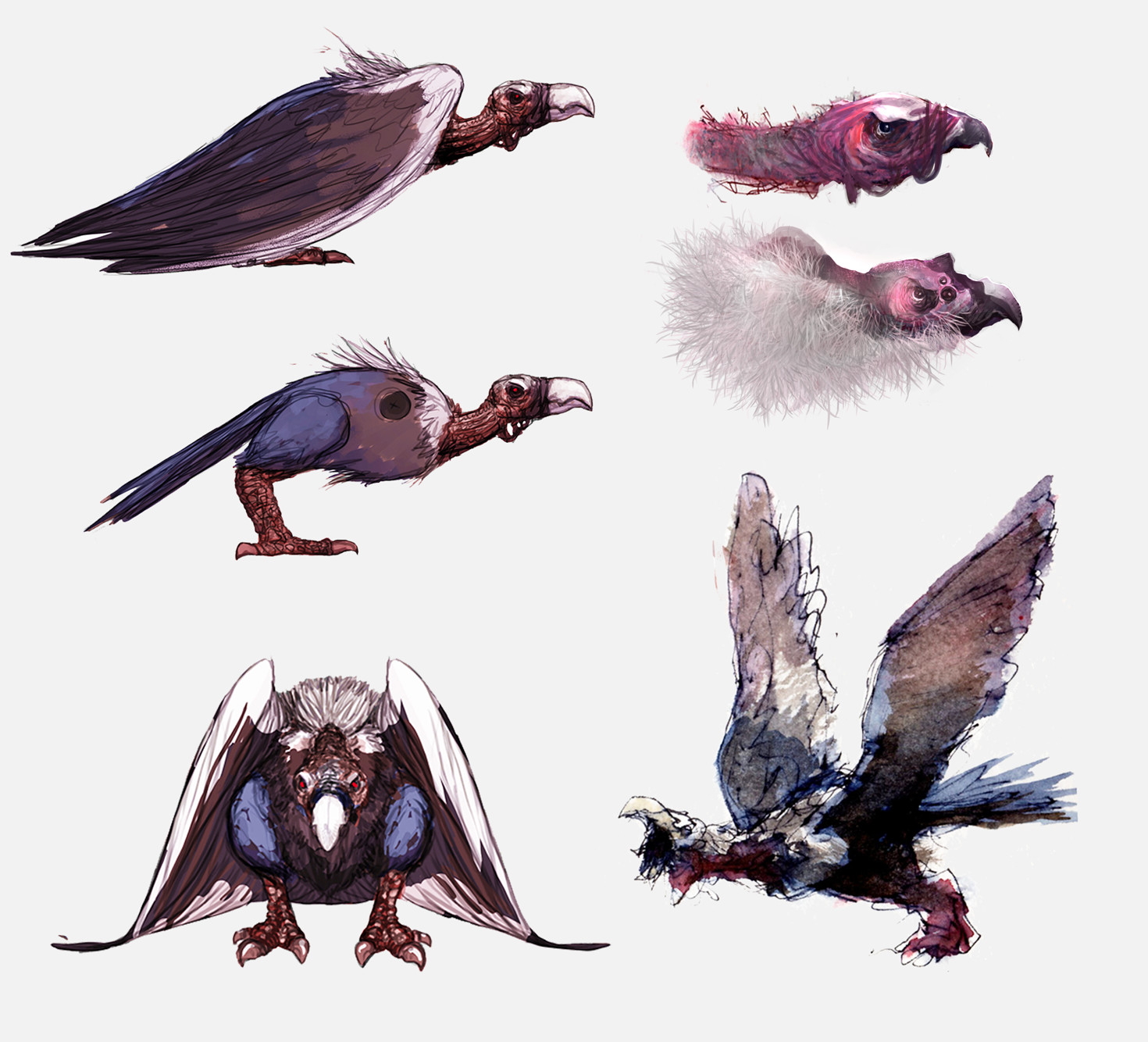 James Webster - Teratorn