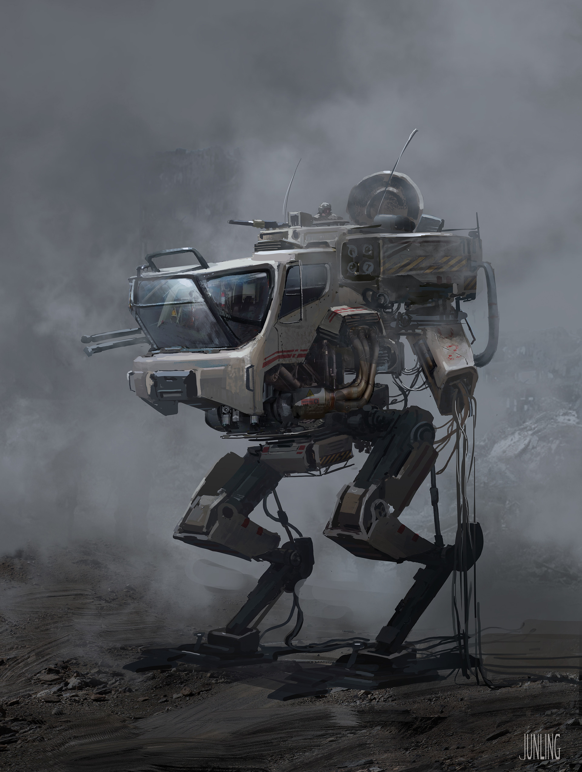 Junling Wang - summary