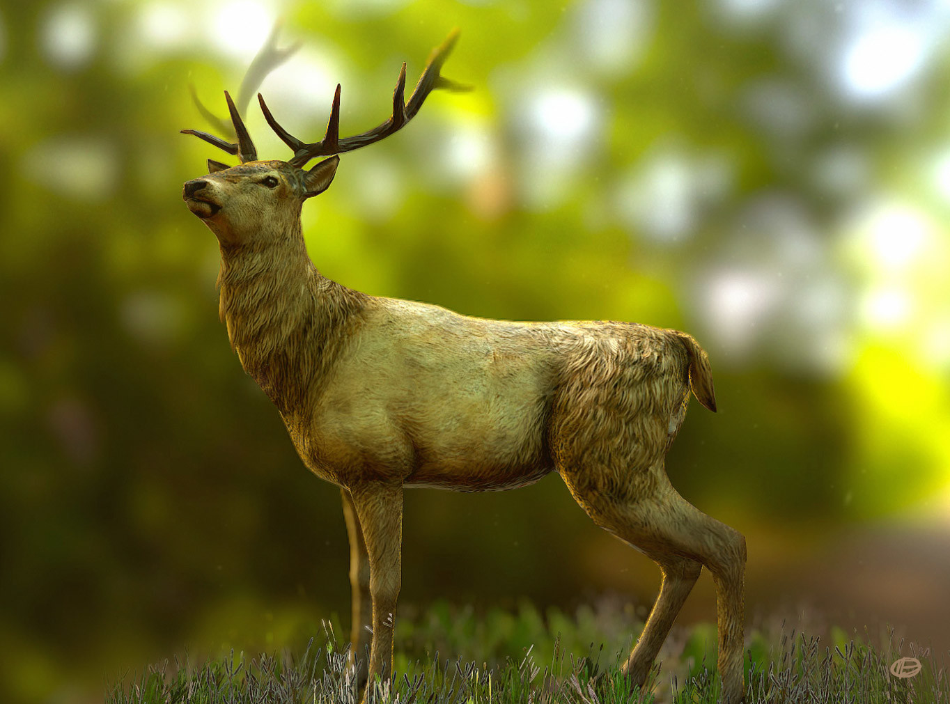 ArtStation - Elk