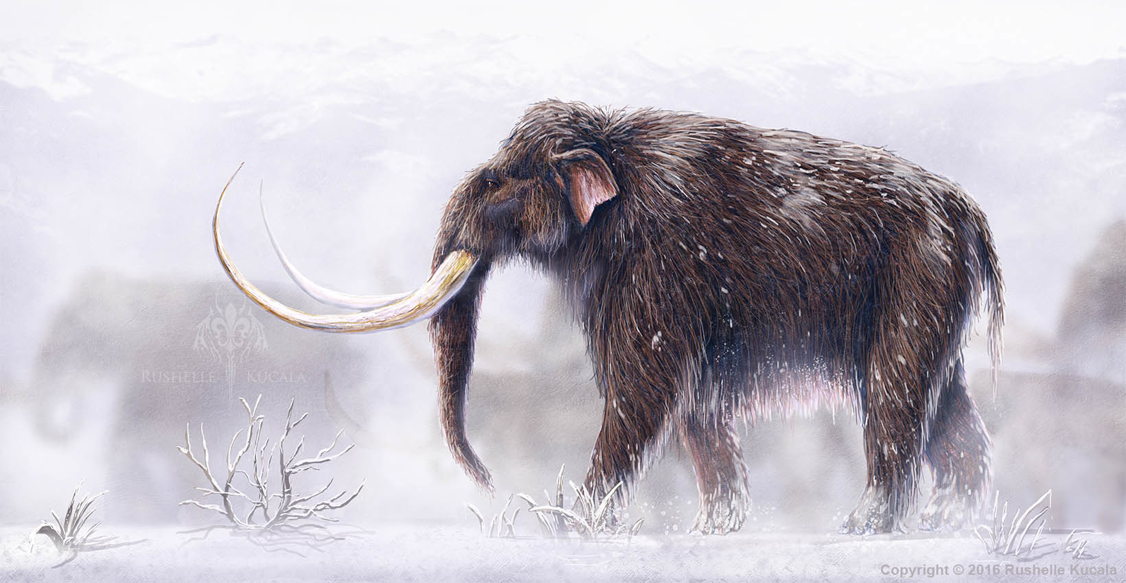 ArtStation - Mammuthus Primigenius Finished