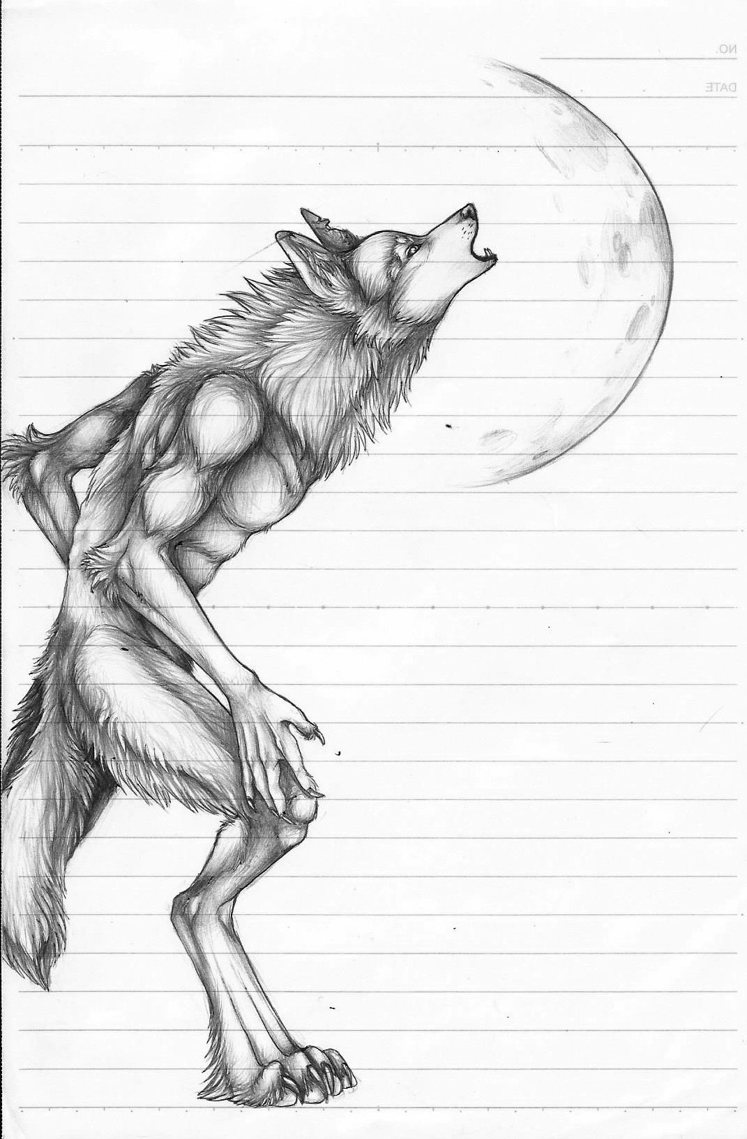 drawing werewolves