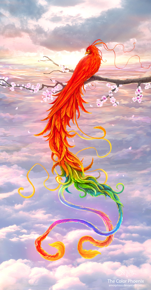 ArtStation - The Color Phoenix