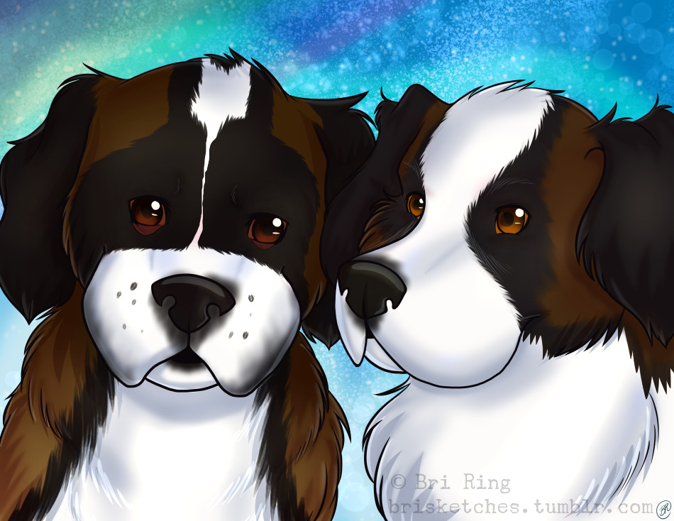 ArtStation - Saint Bernards
