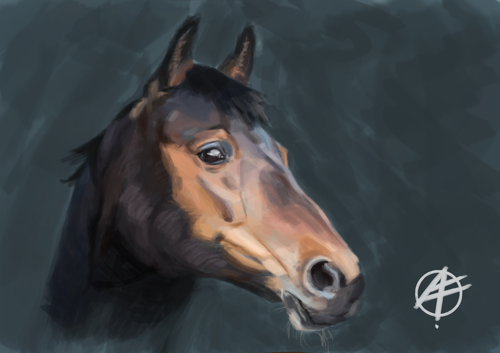 ArtStation - Horse head study