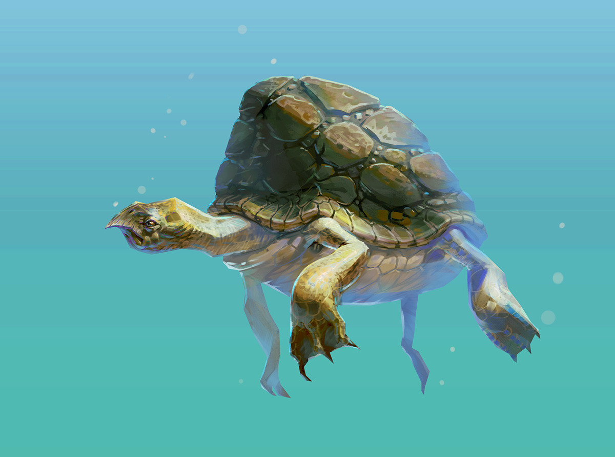 ArtStation - Turtle?