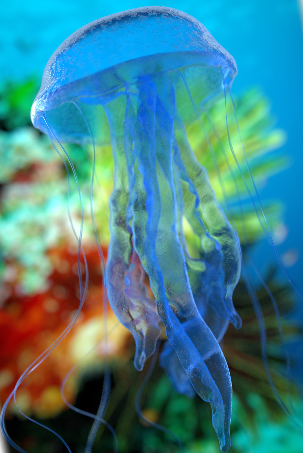 Al Lopez - Jellyfish