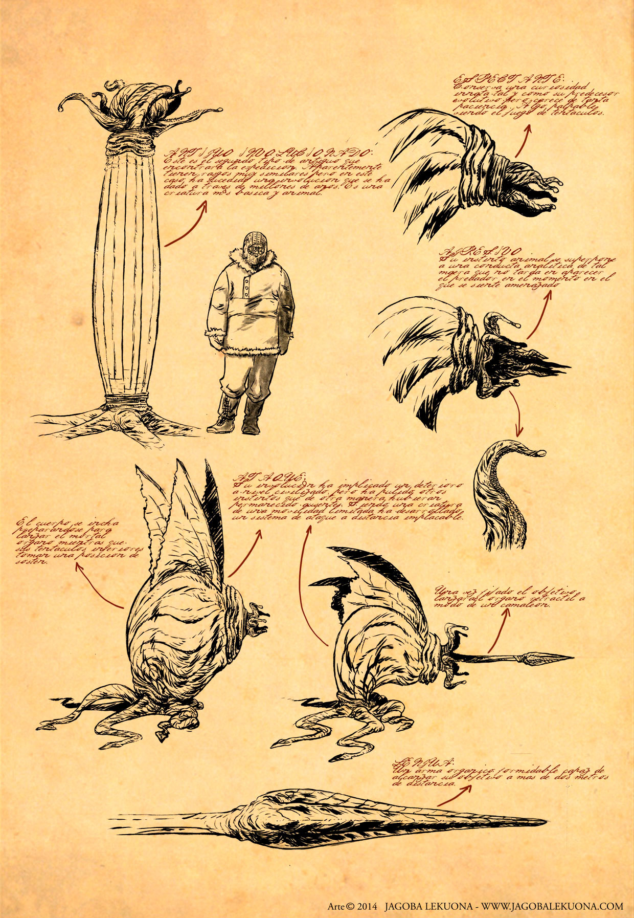 ArtStation - Elder thing anatomy study 2