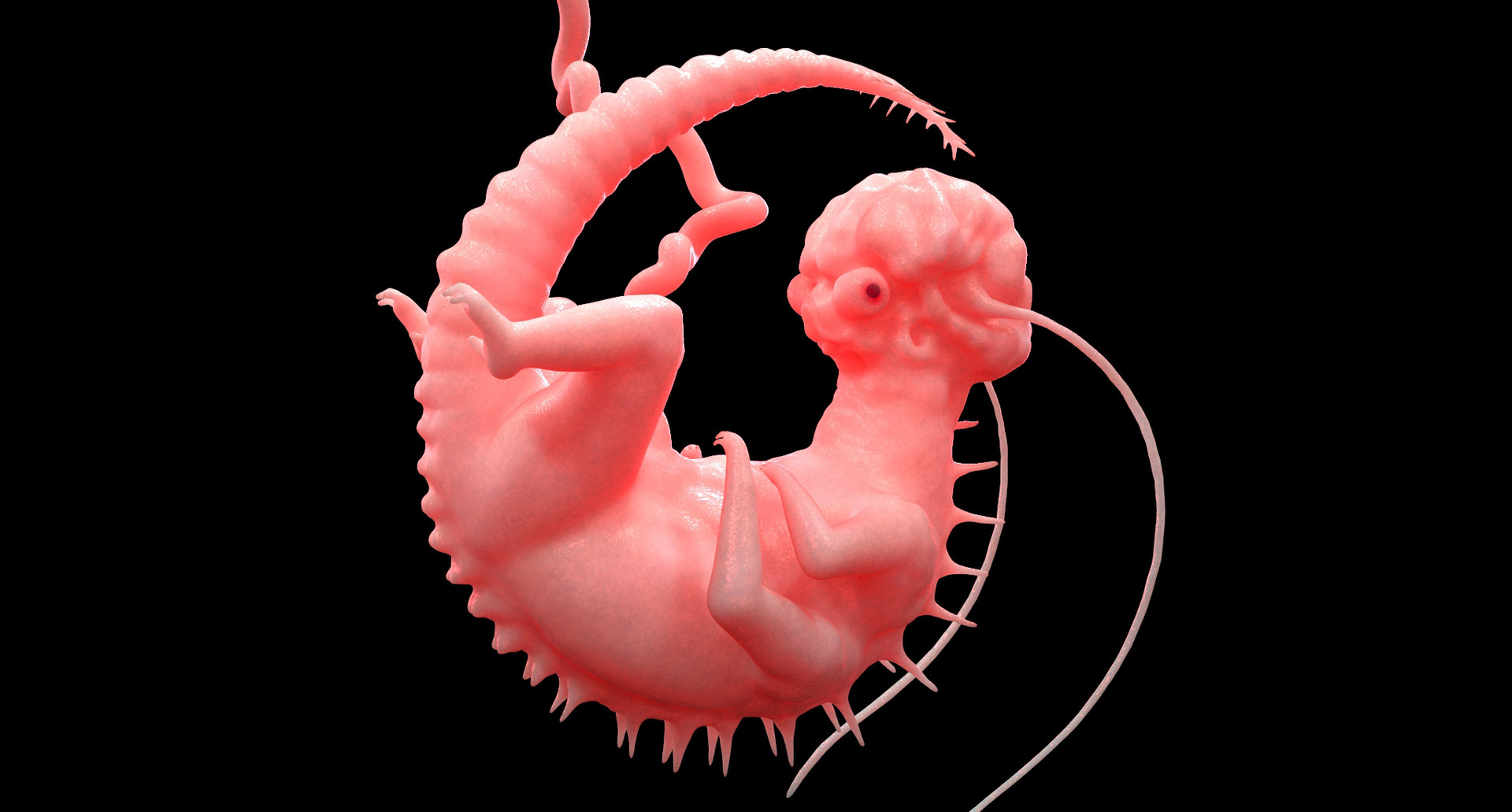 Lucas Medina - Fetus Alien Concept WIP