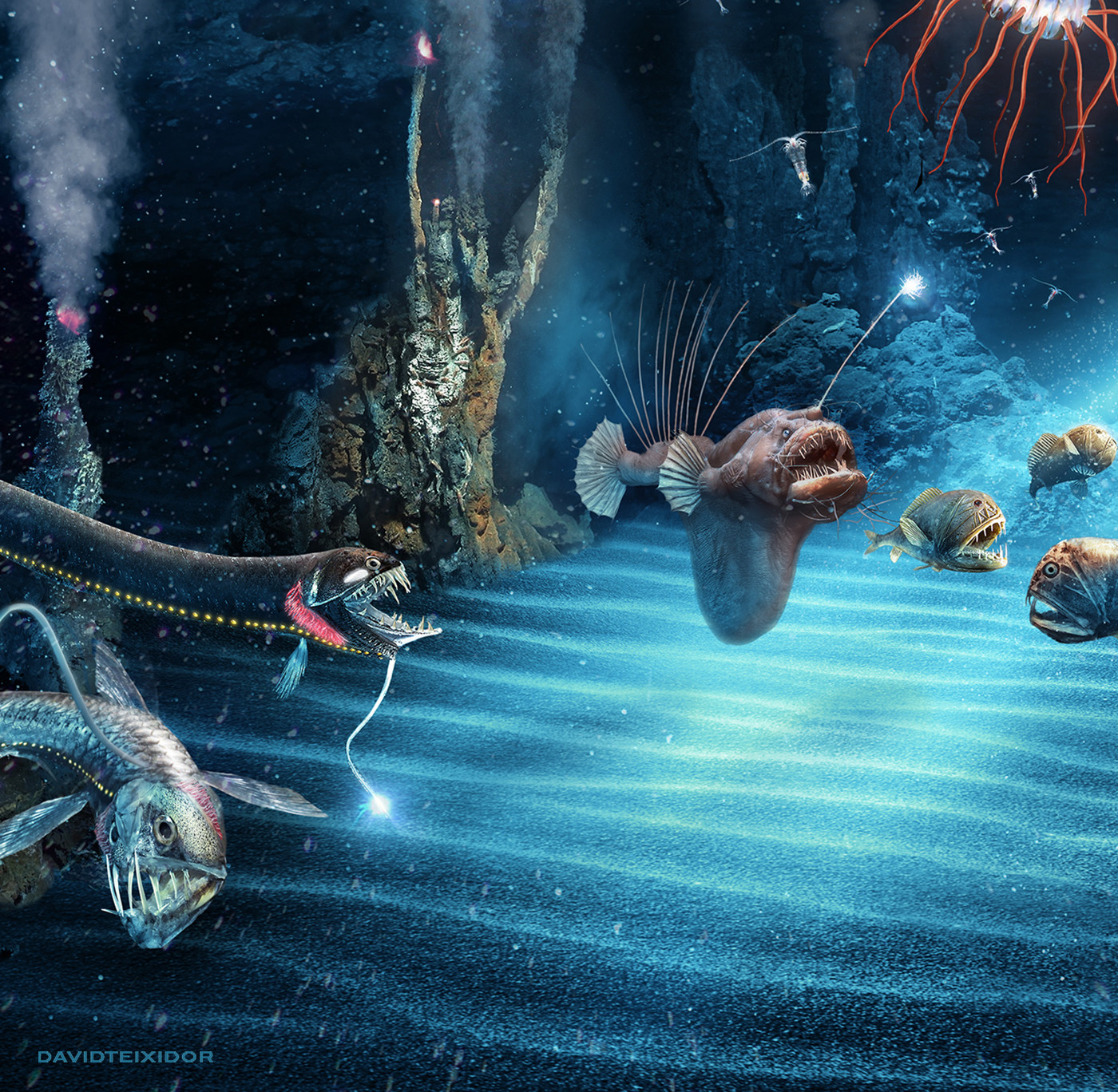 David Teixidor - Abyssal Fauna