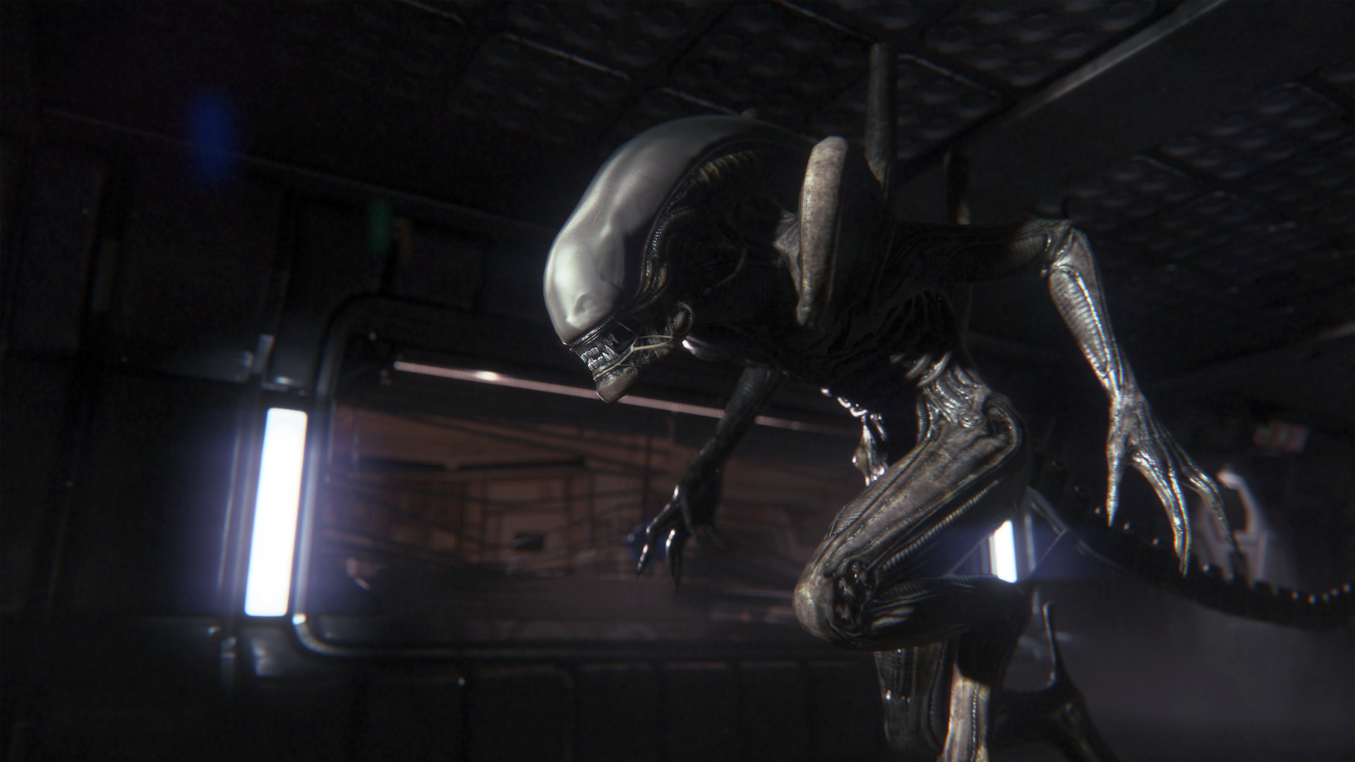 Ben Hutchings - Alien Isolation - Lighting
