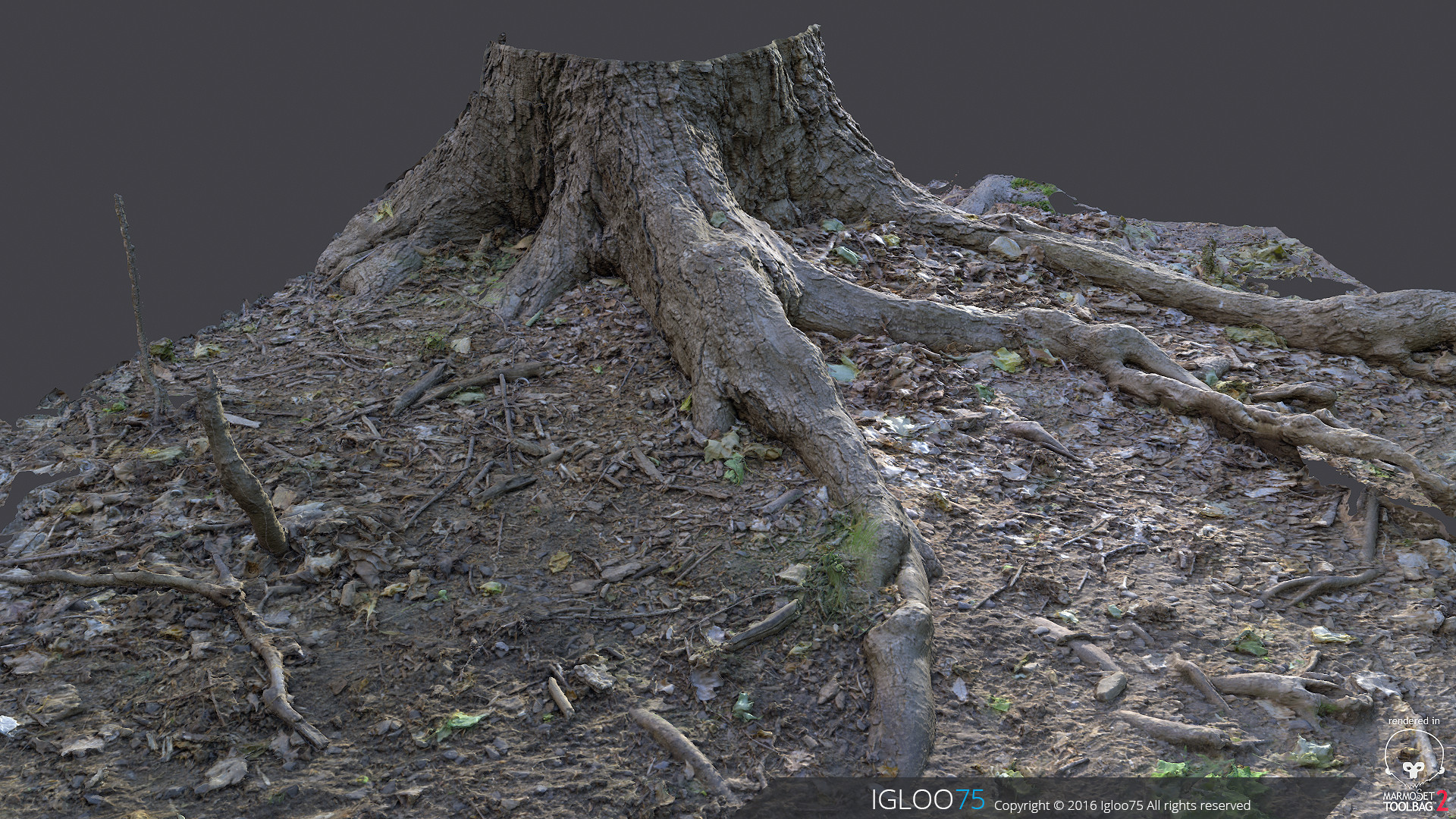 ArtStation - Base tree- 3D scan-01
