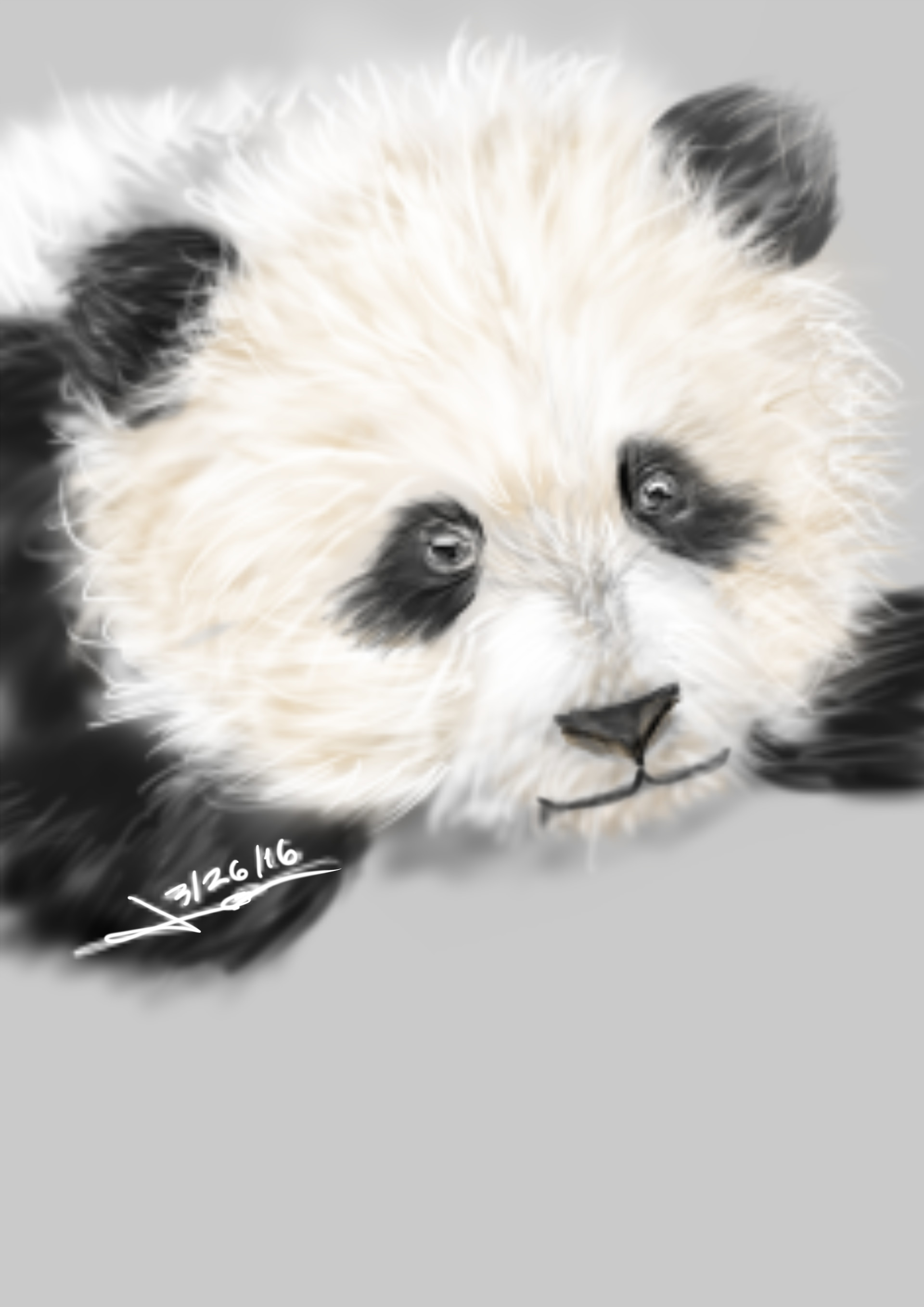 ArtStation - Digital Art of Panda