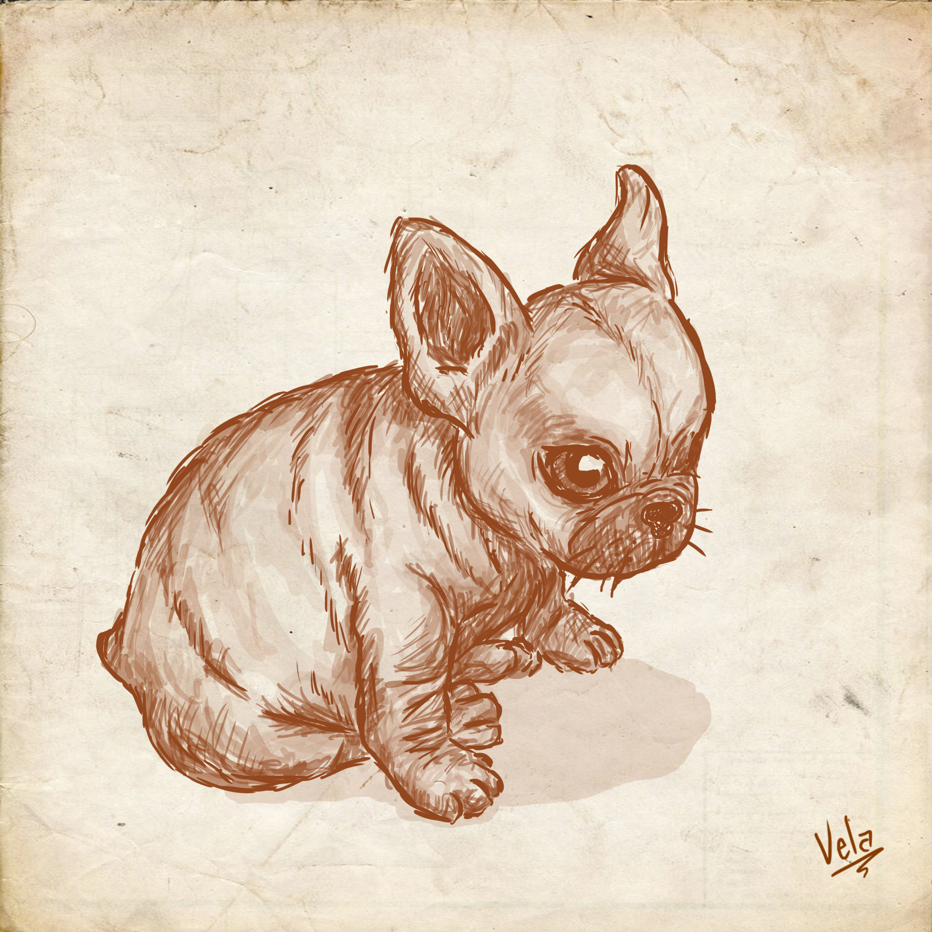 ArtStation - Dog portrait