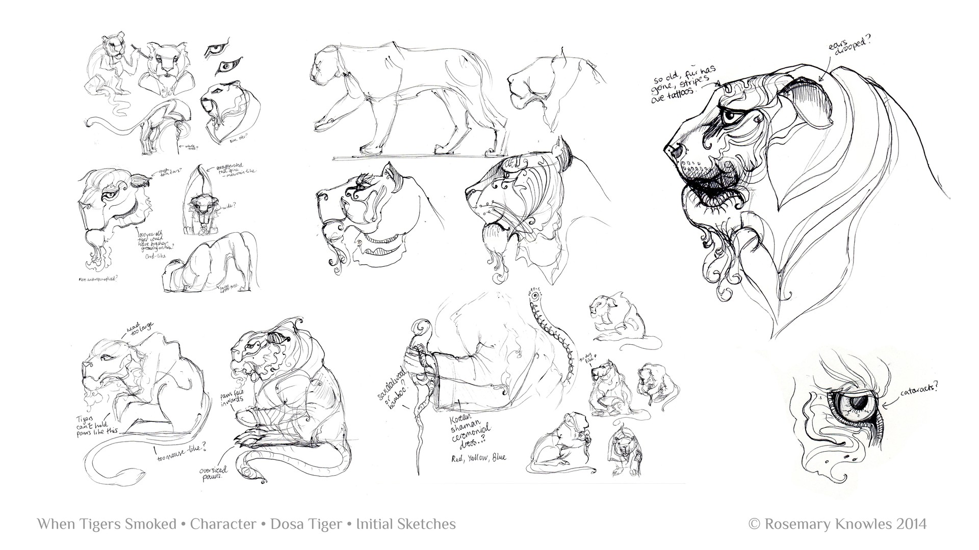tiger head drawing reference