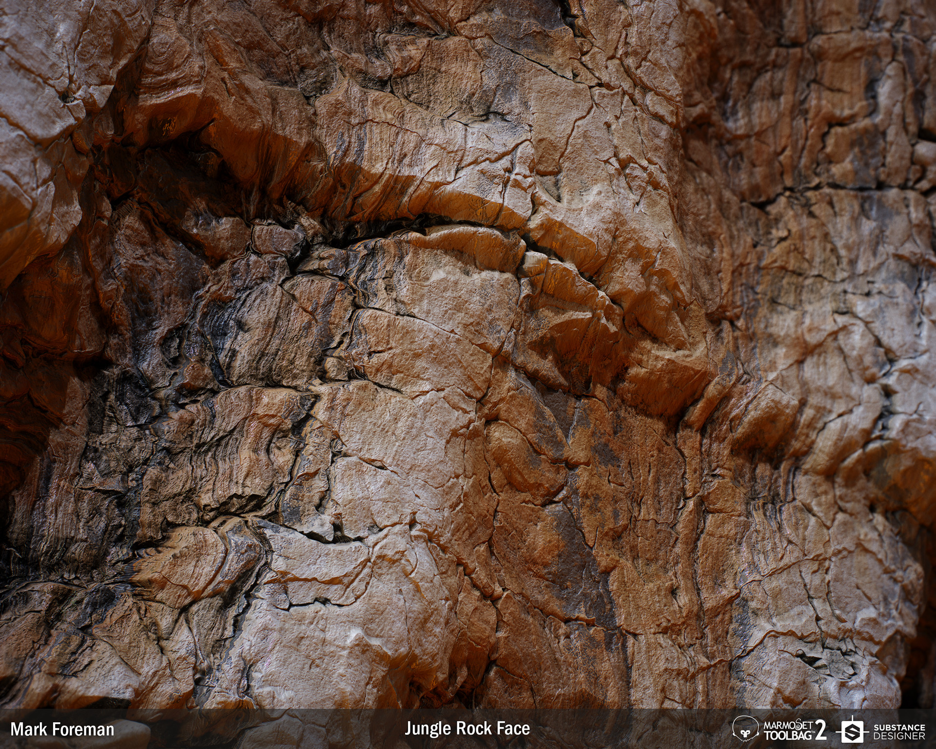 Mark Foreman - Jungle Rock Face Substance