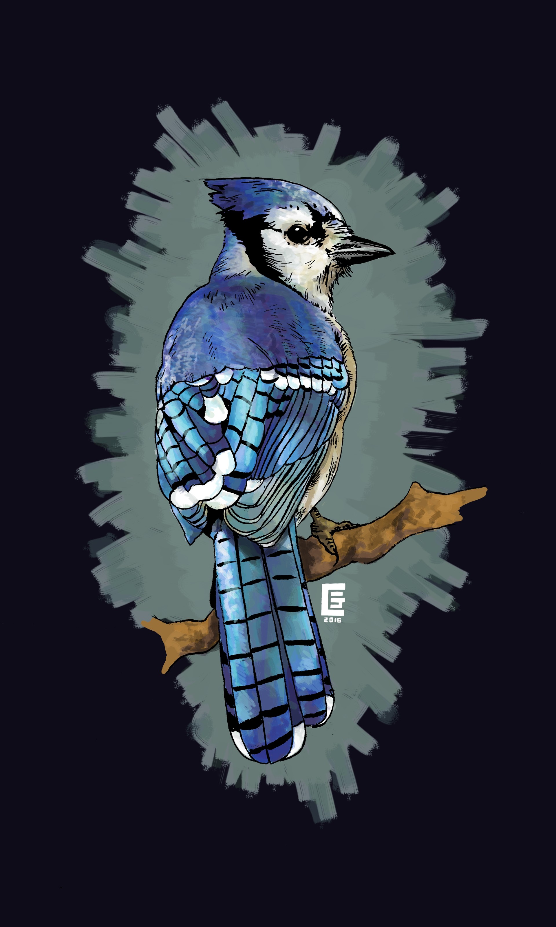 ArtStation - Blue Jay