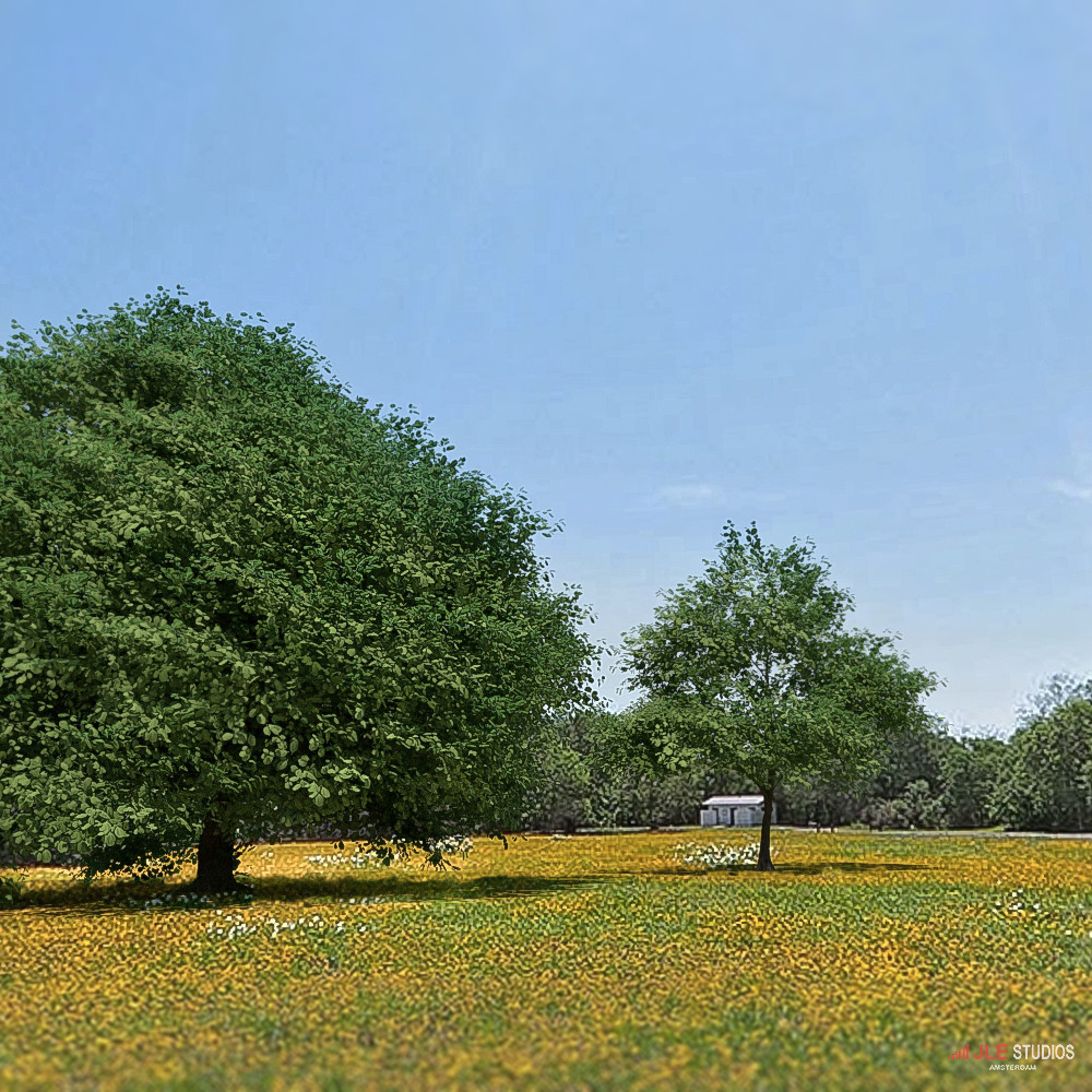 JLE Studios / i-U Asset Studios - Nature in Blender 3D