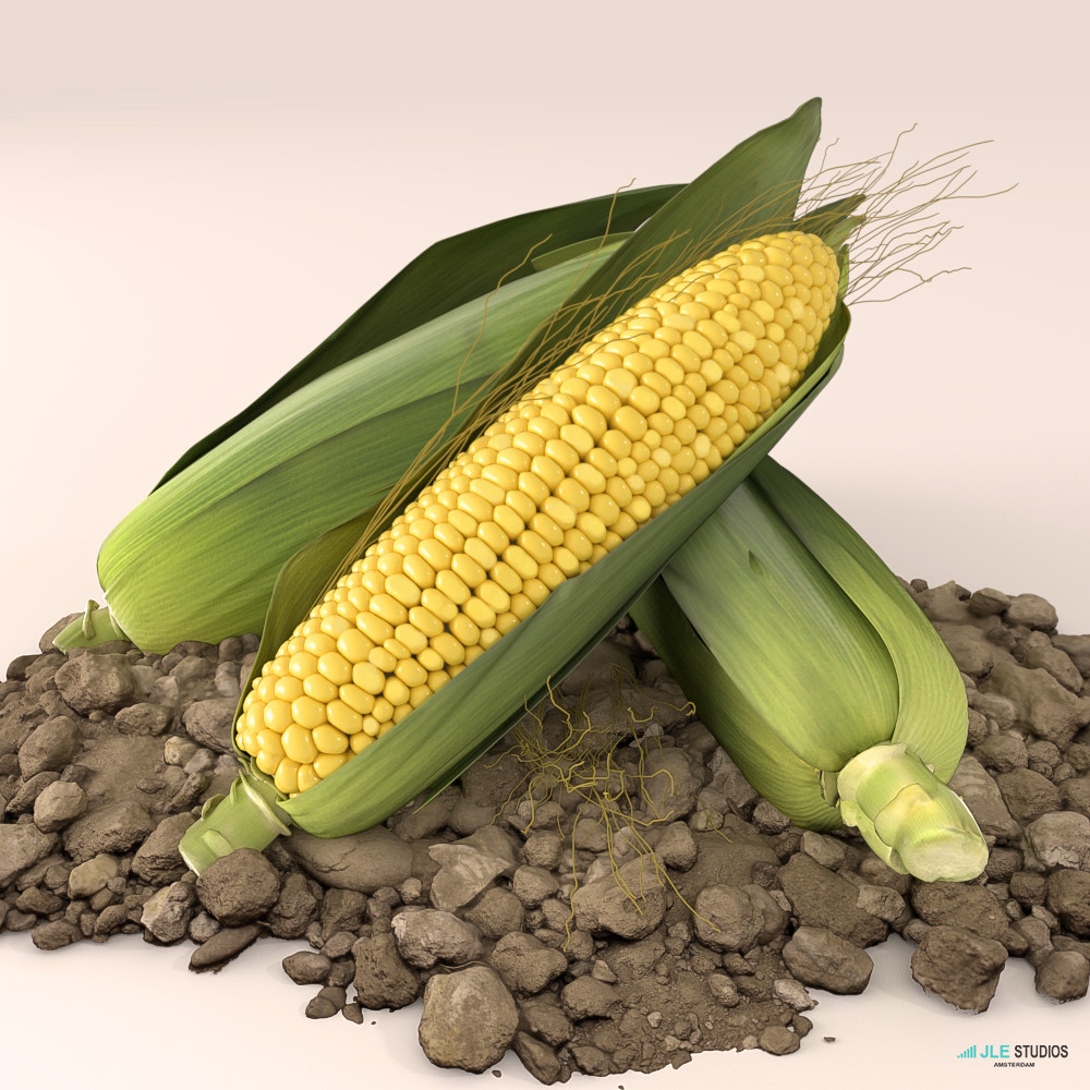 ArtStation - Corn Cob - Blender 3D