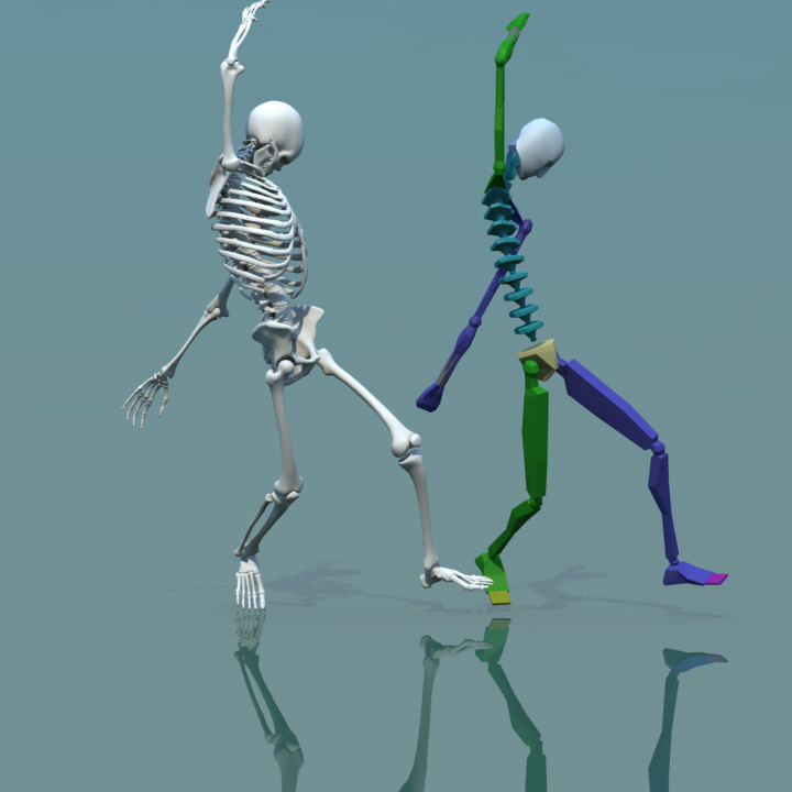 Stephan Plotnicov - 3d model human skeleton
