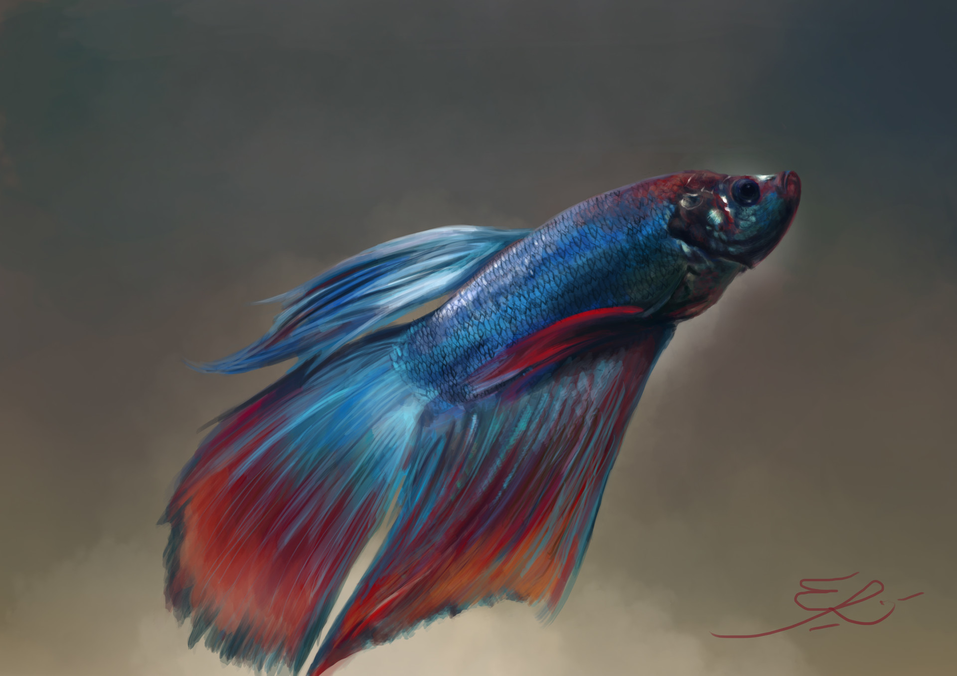 ArtStation - Beta Fish