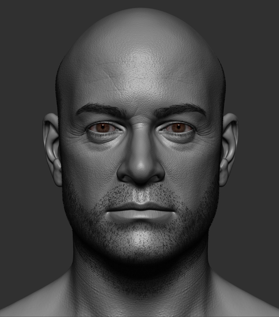 ArtStation - Bald head