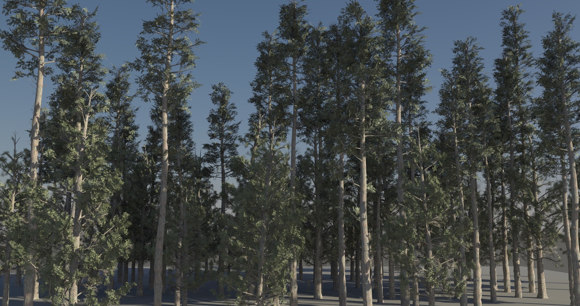 ArtStation - Pine Forest