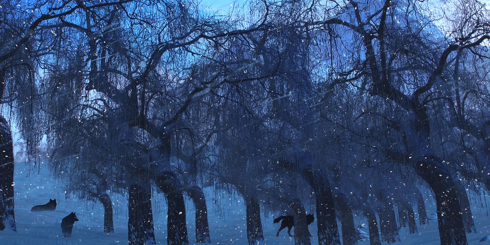 ArtStation - Winter Wolfpack