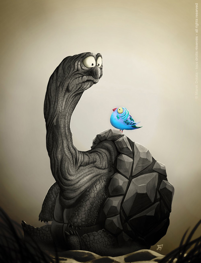 ArtStation - The turtle and the parakeet