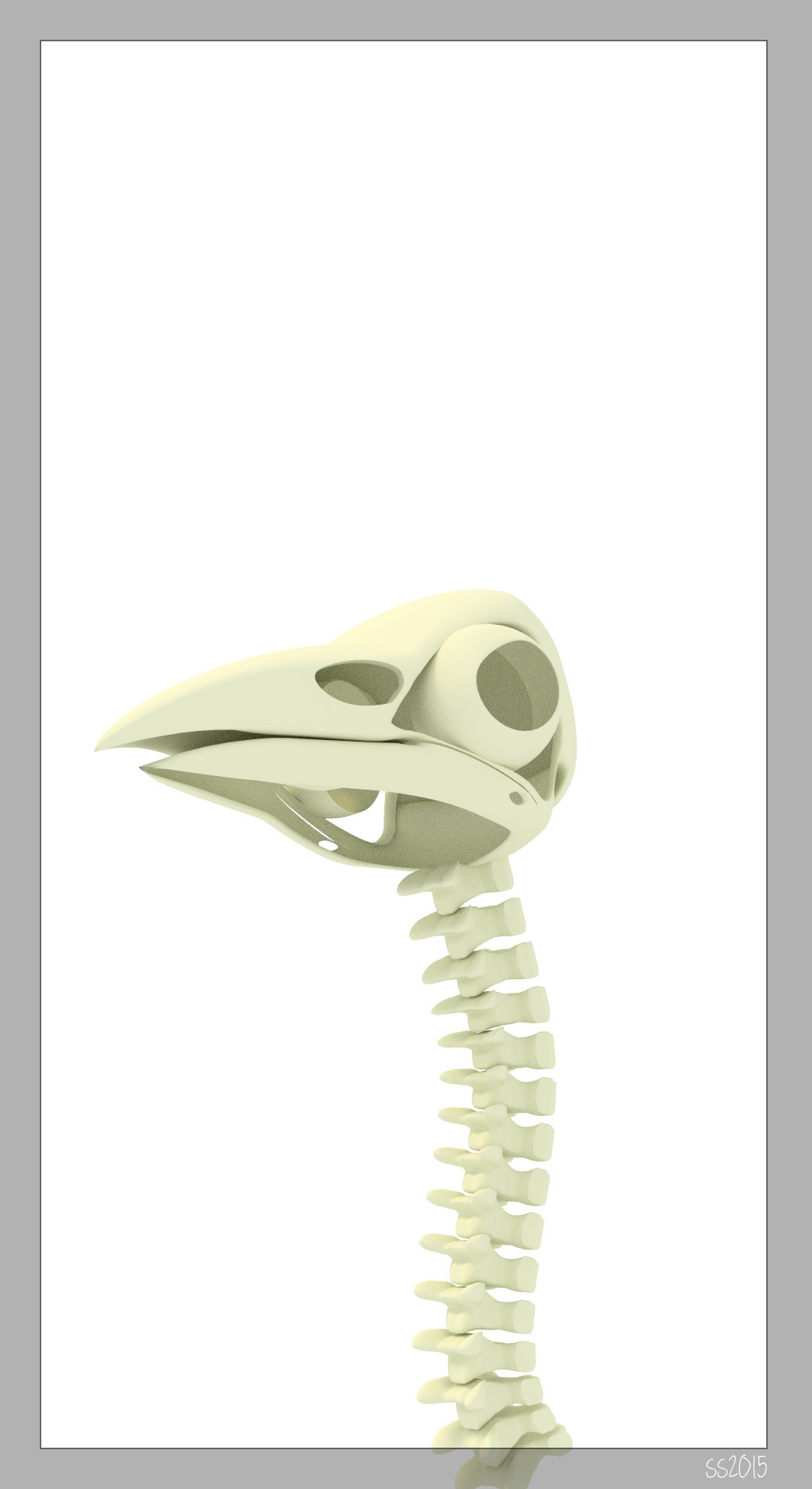 ArtStation - Bird Bones